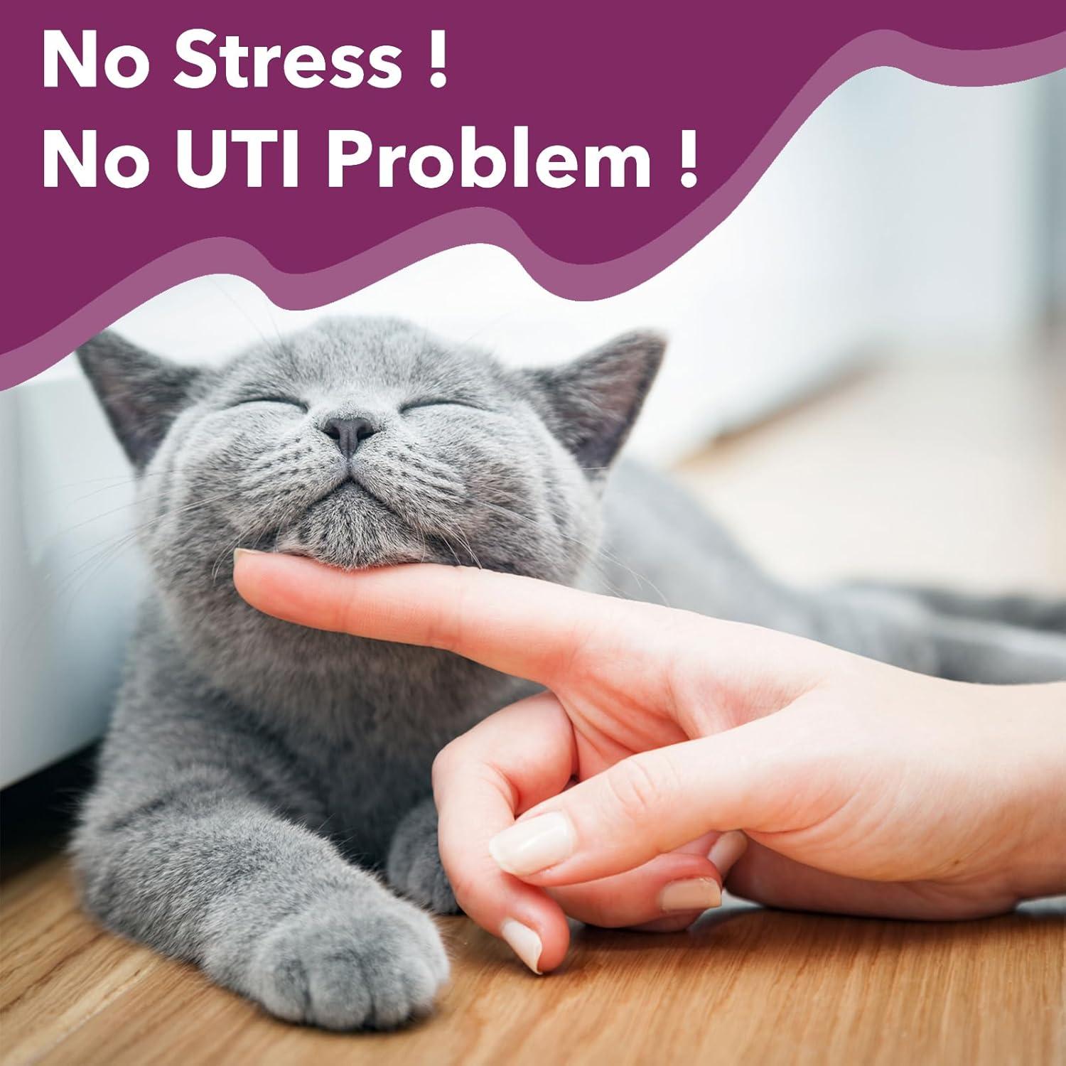 UT AID Plus for Cats & Dogs - Feline Idiopathic Cystitis & Urinary ...