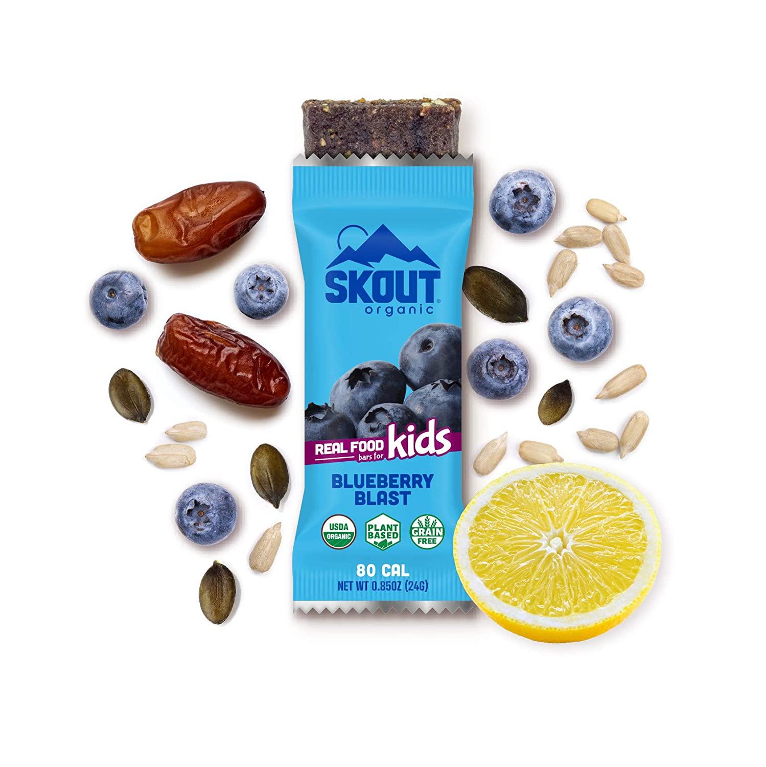 Skout Organic Blueberry Blast Kids Bars (6 Pack) | Plant-Based, Vegan ...