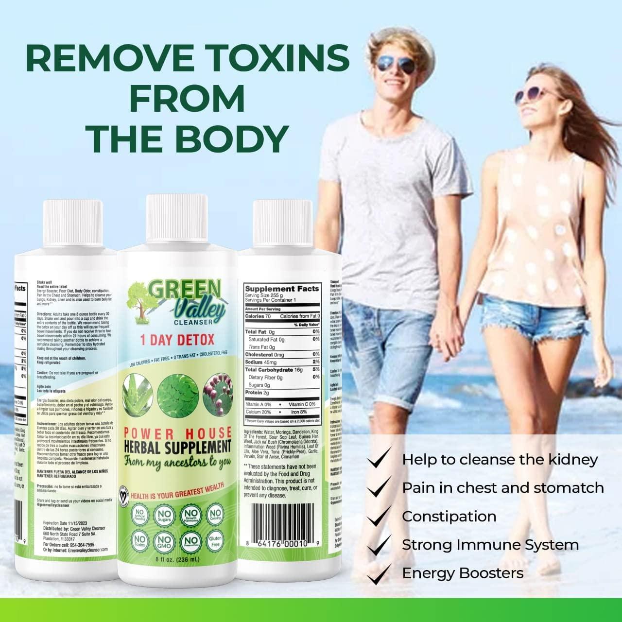 1 Day Colon Cleanse & Liver Detox | Vegan Gut Support & Energy Boost ...