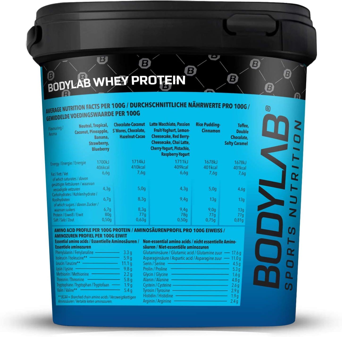 Bodylab24 Whey Protein Powder - Vanilla Pudding Flavor 1kg | Premium ...