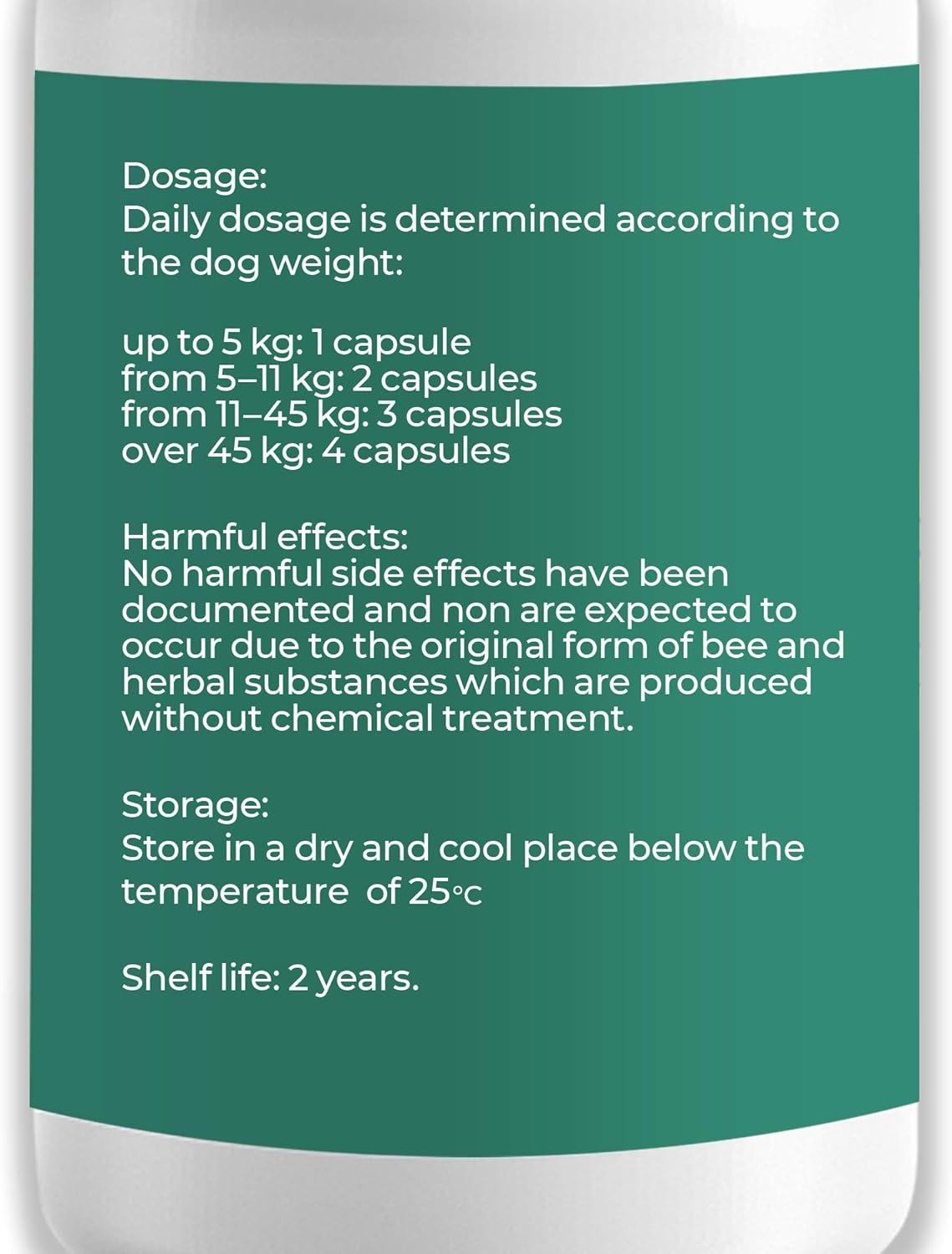 ApiPet Skin - Bee Pollen Propolis & Biotin Supplement for Dogs ...