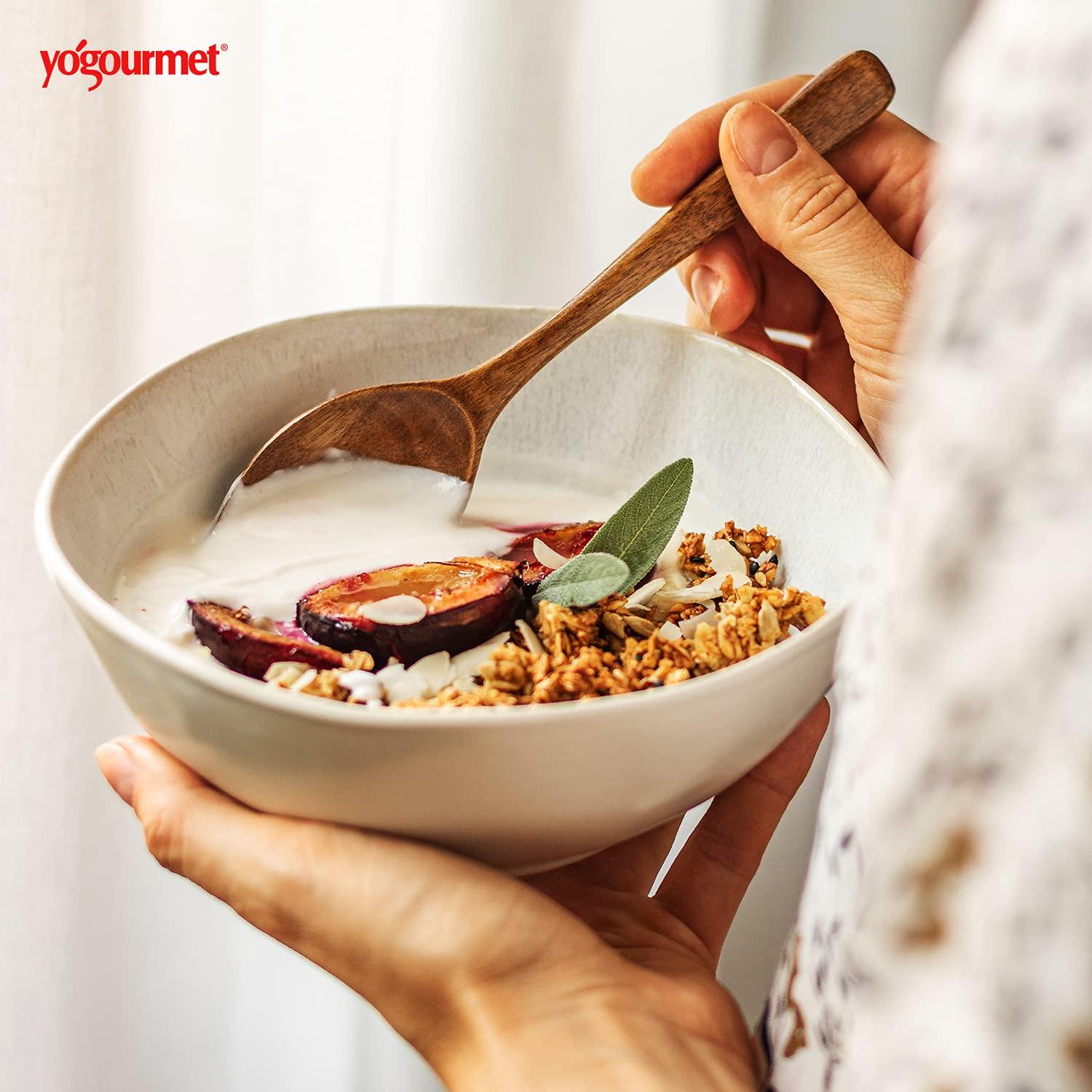 Yogourmet Freeze Dried Yogurt Starter Value Pack - 16 Packets, 3g Each ...