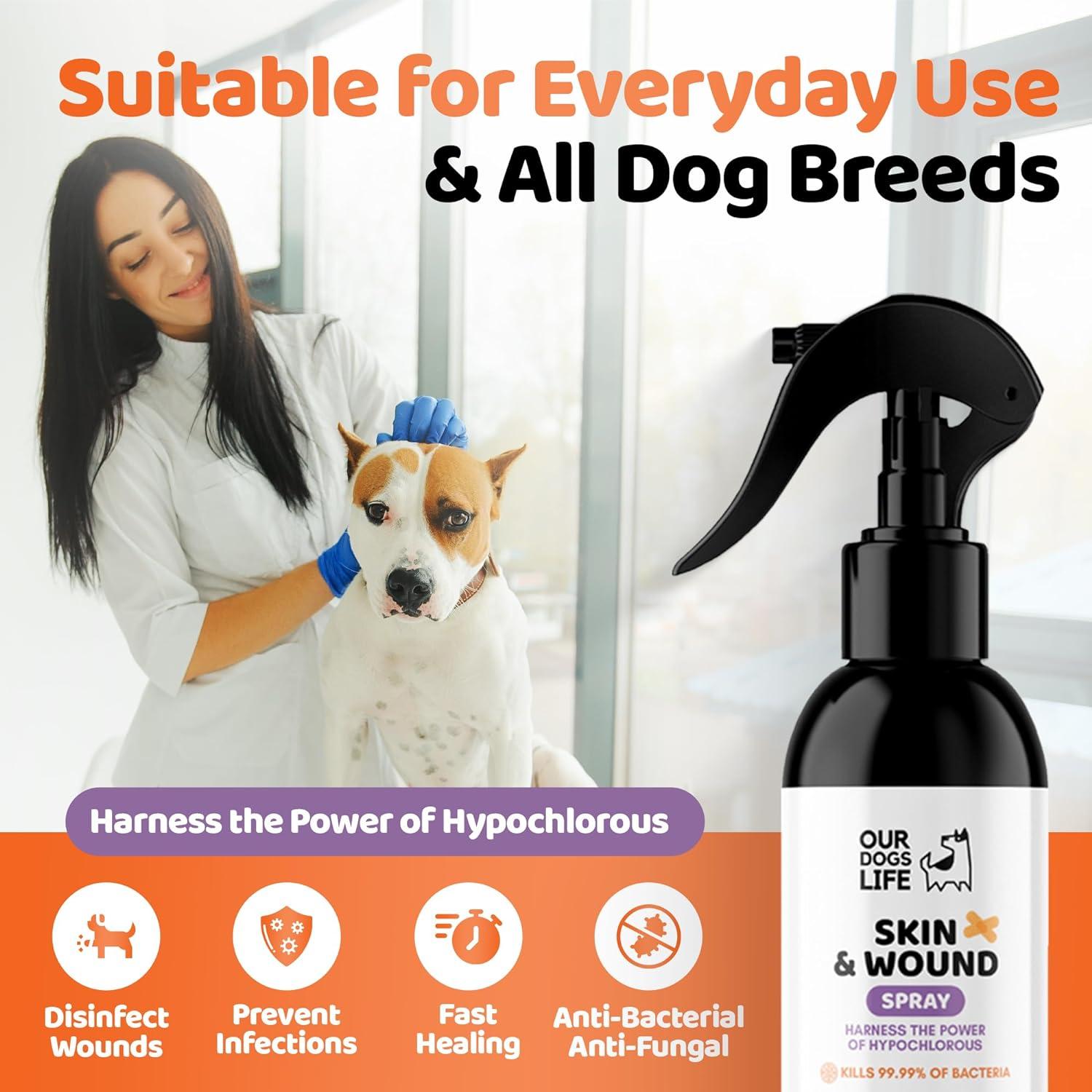 DogsLife Wound & Skin Antiseptic Spray 250ml - Antibacterial ...