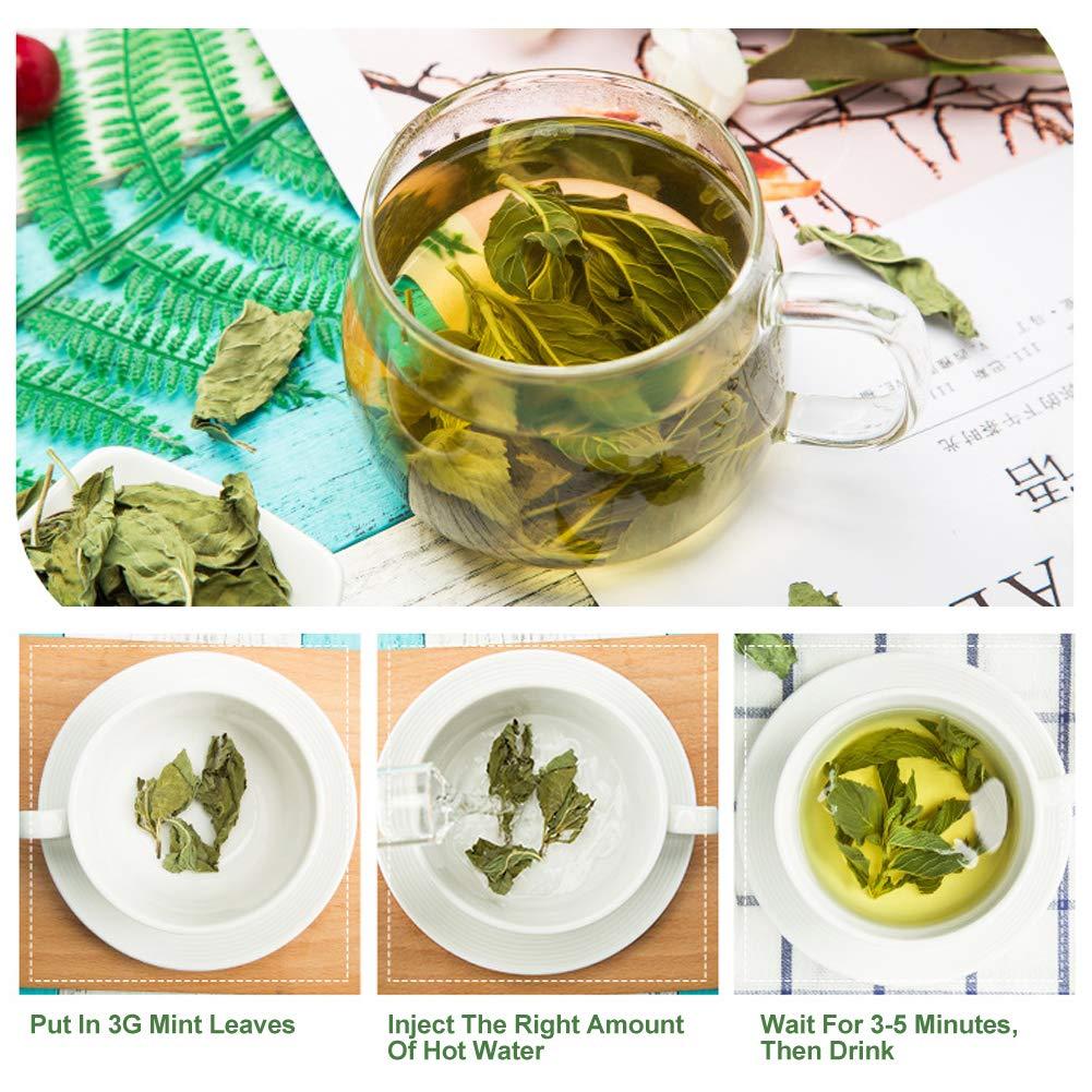 100% Organic Peppermint Tea - Health Benefits & Traditional Flavor ...
