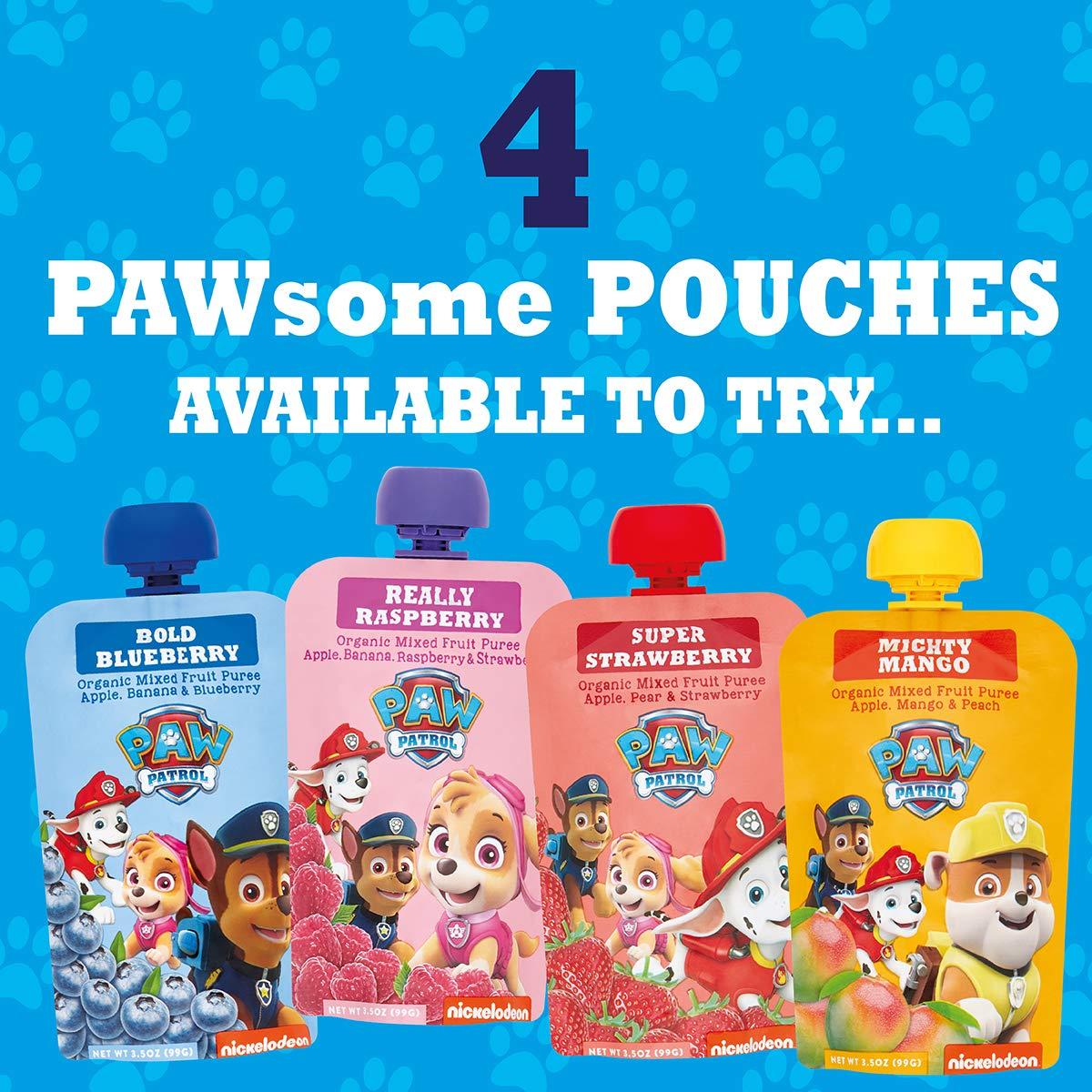 Paw Patrol Really Raspberry Organic Mixed Fruit Squeeze Pouch 3.5 oz ...