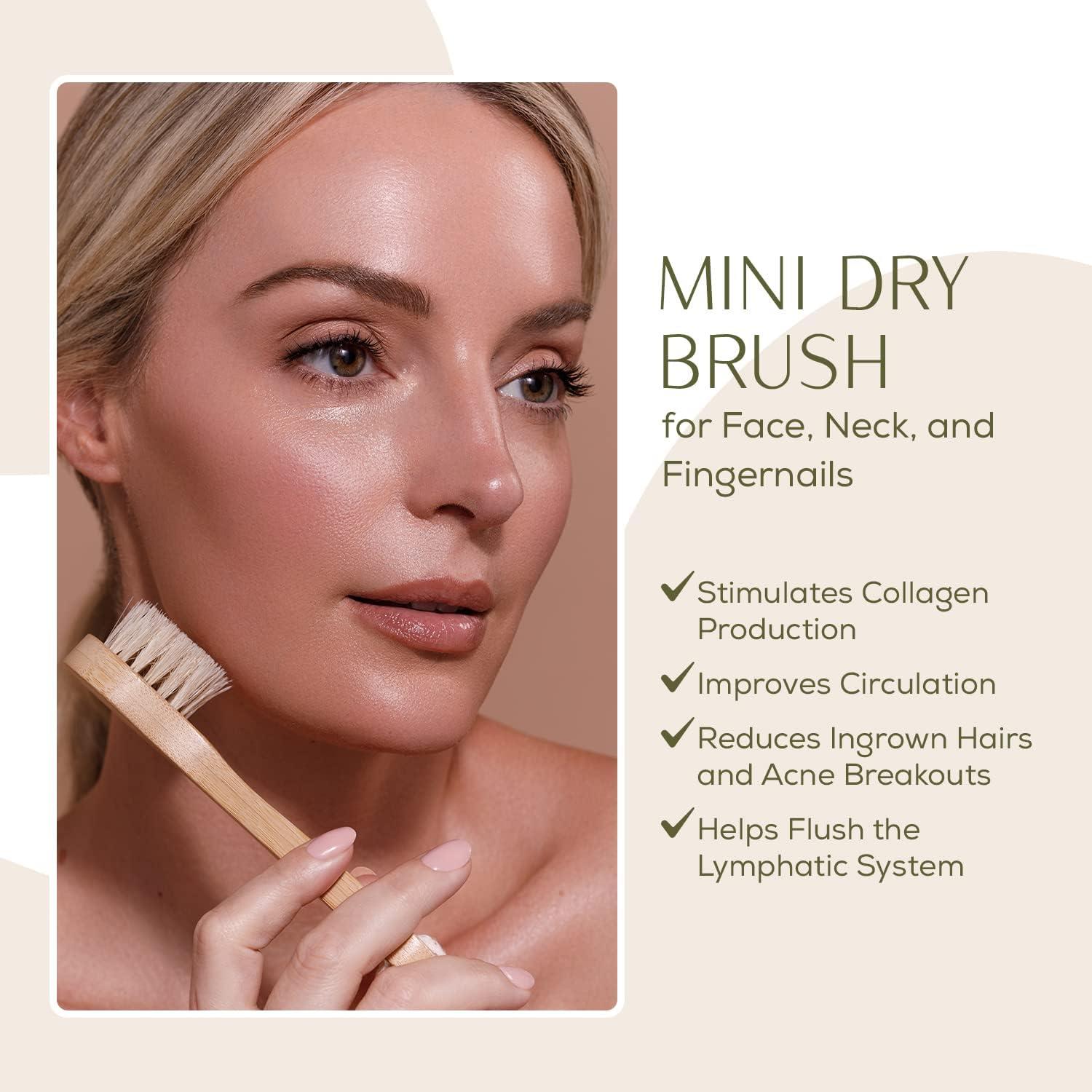 CSM Mini Dry Brush - Natural Bristle Exfoliating Facial and Body ...