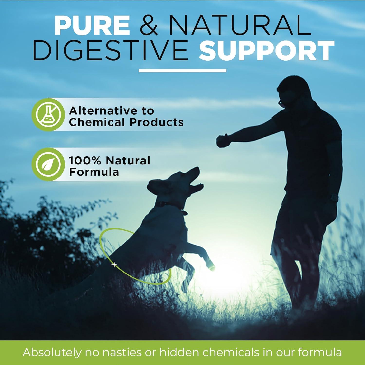 BUDDY'S BEST Natural Dewormer For Dogs & Cats | Intestinal Tract ...