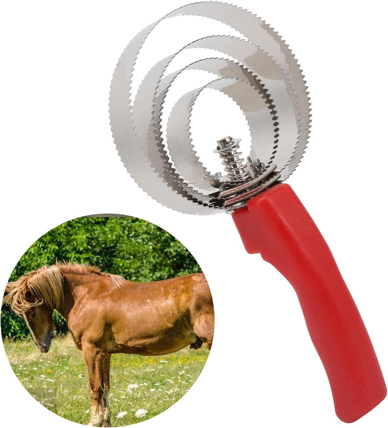 Buy Stainless Steel 6 Ring Curry Comb for Horses Sheep & Cows - Relieve ...