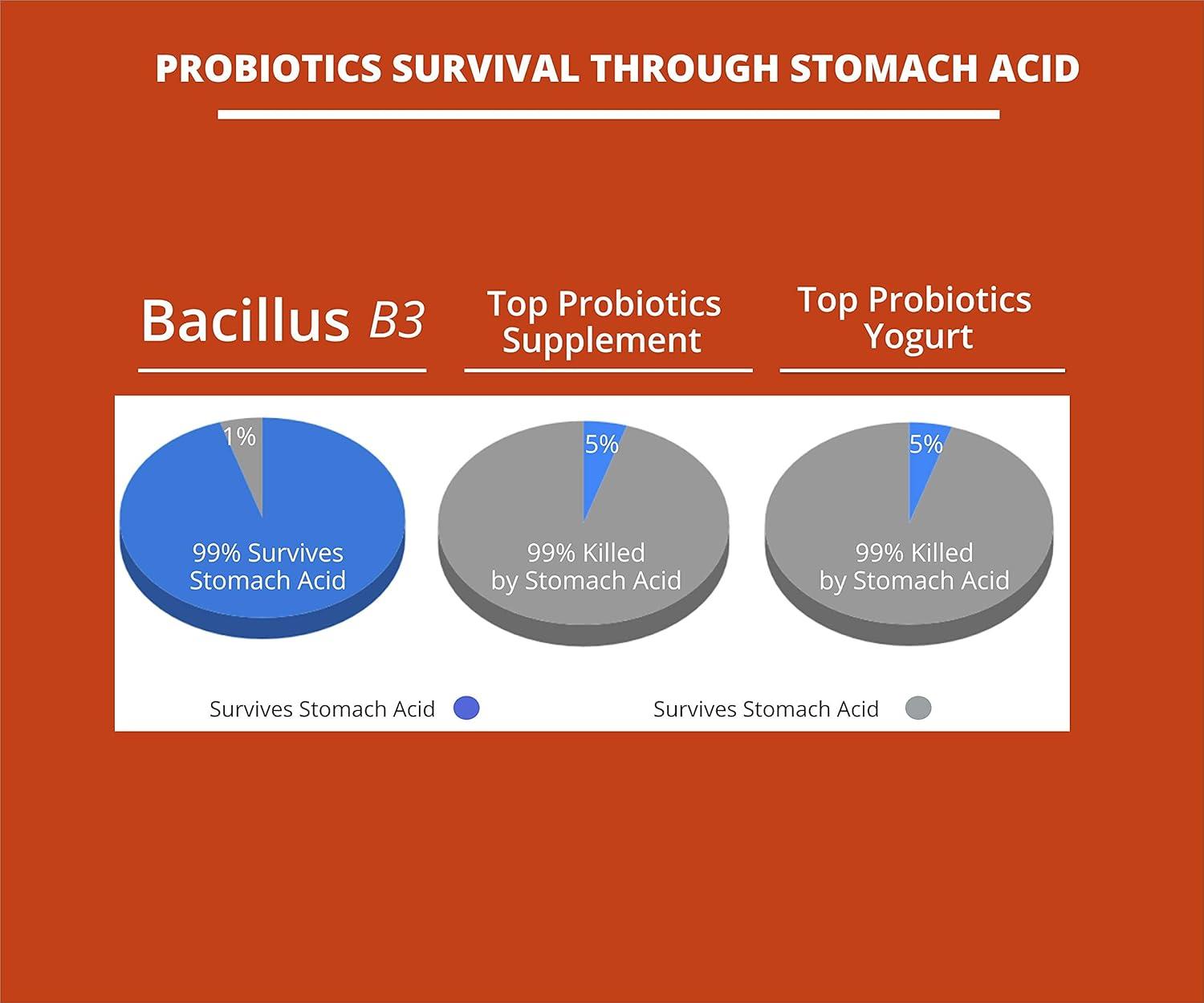 Bacillus B3 Probiotic Complex & Bioactive Enzymes - 100% Spore-Based ...