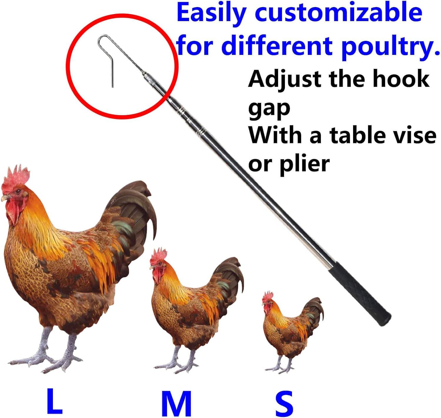 GLOBOTECH Extendable Chicken Catcher Leg Hook - Stainless Poultry Hook ...