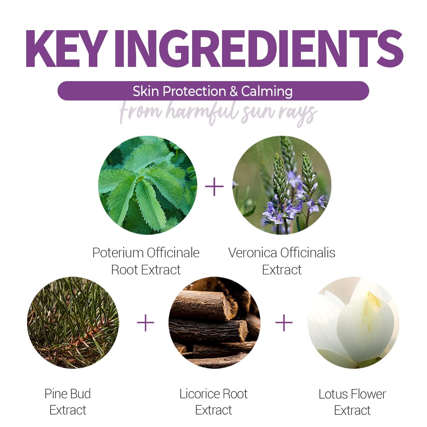 ACWELL Solar Defence Licorice Sunscreen SPF 50+ PA++++ 1.69oz | Anti ...