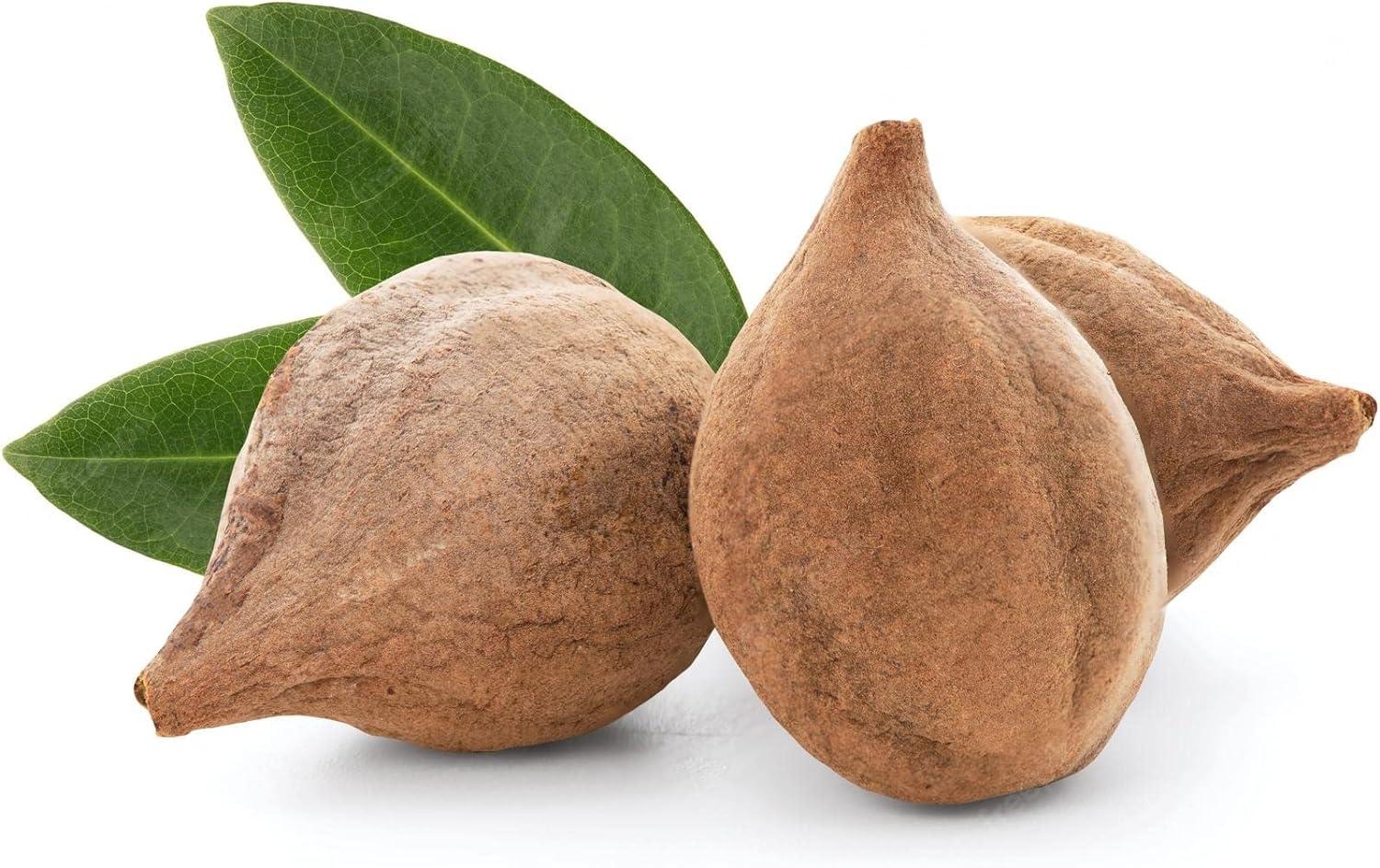 Organic Baheda Powder - 3.5oz | Bibhitaki Fruit Powder - Terminalia ...