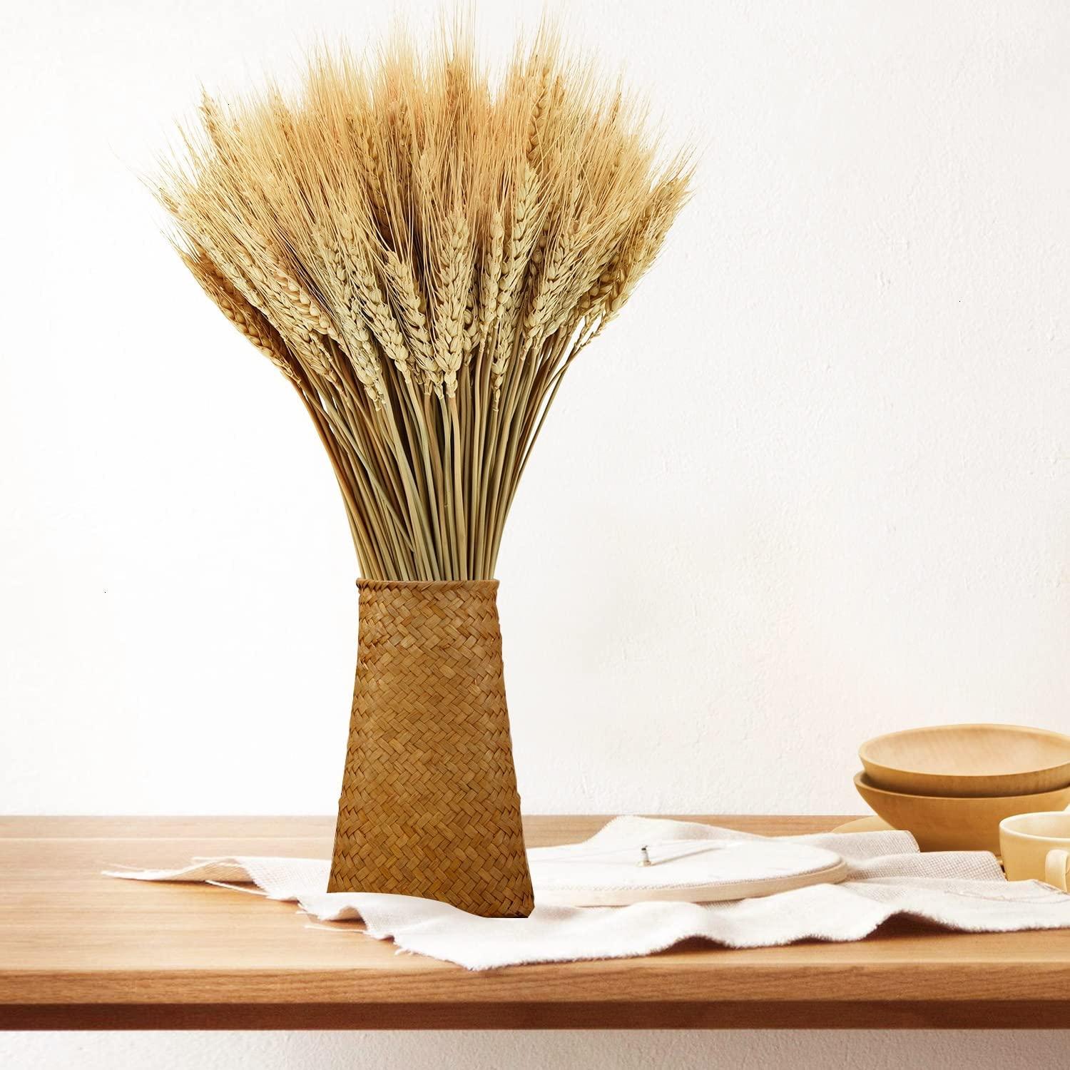 Wheat Stalks Bundle