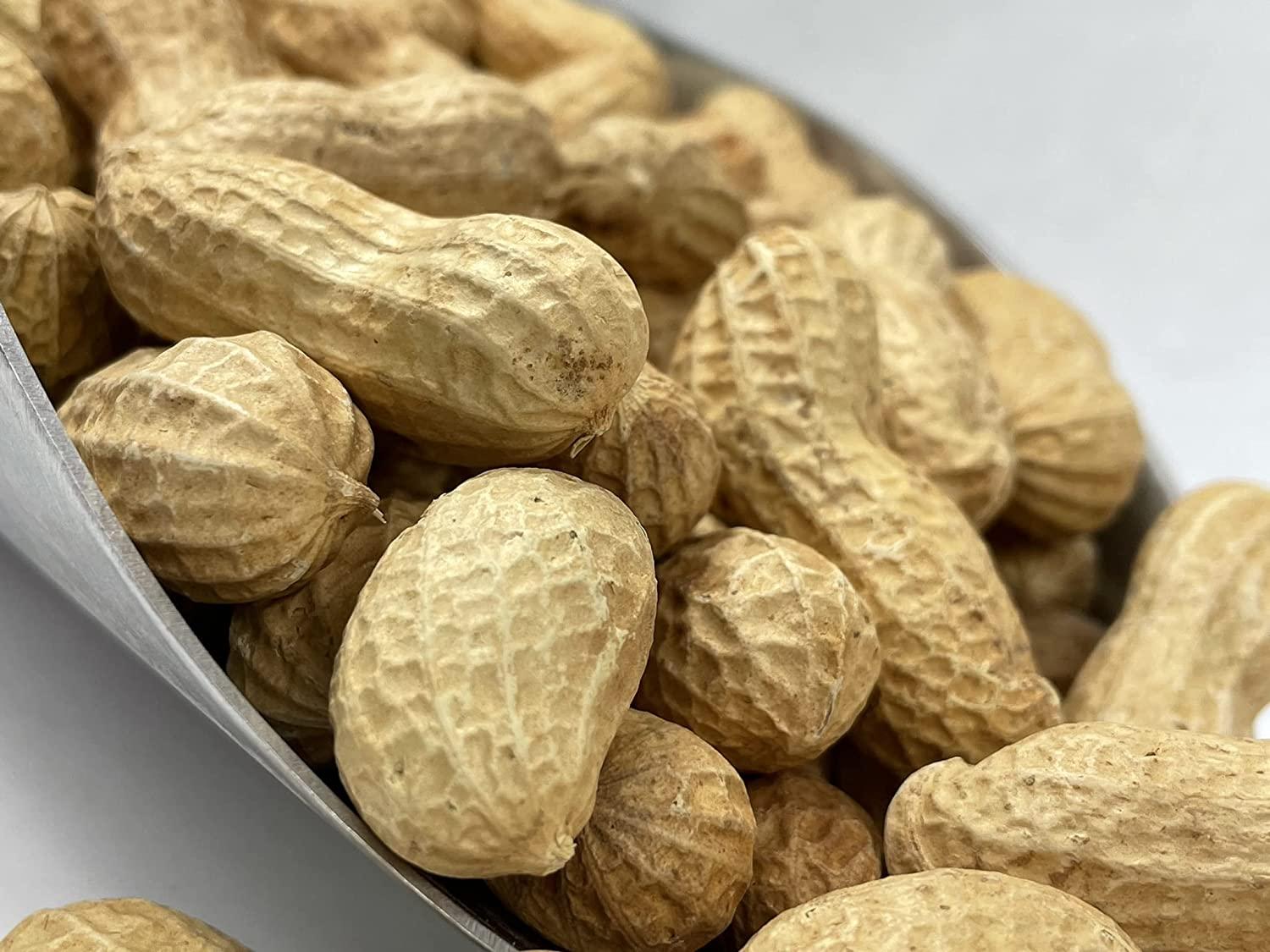 Executive Deal Peanuts in Shell for Birds, Squirrels, Deer, Wildlife ...