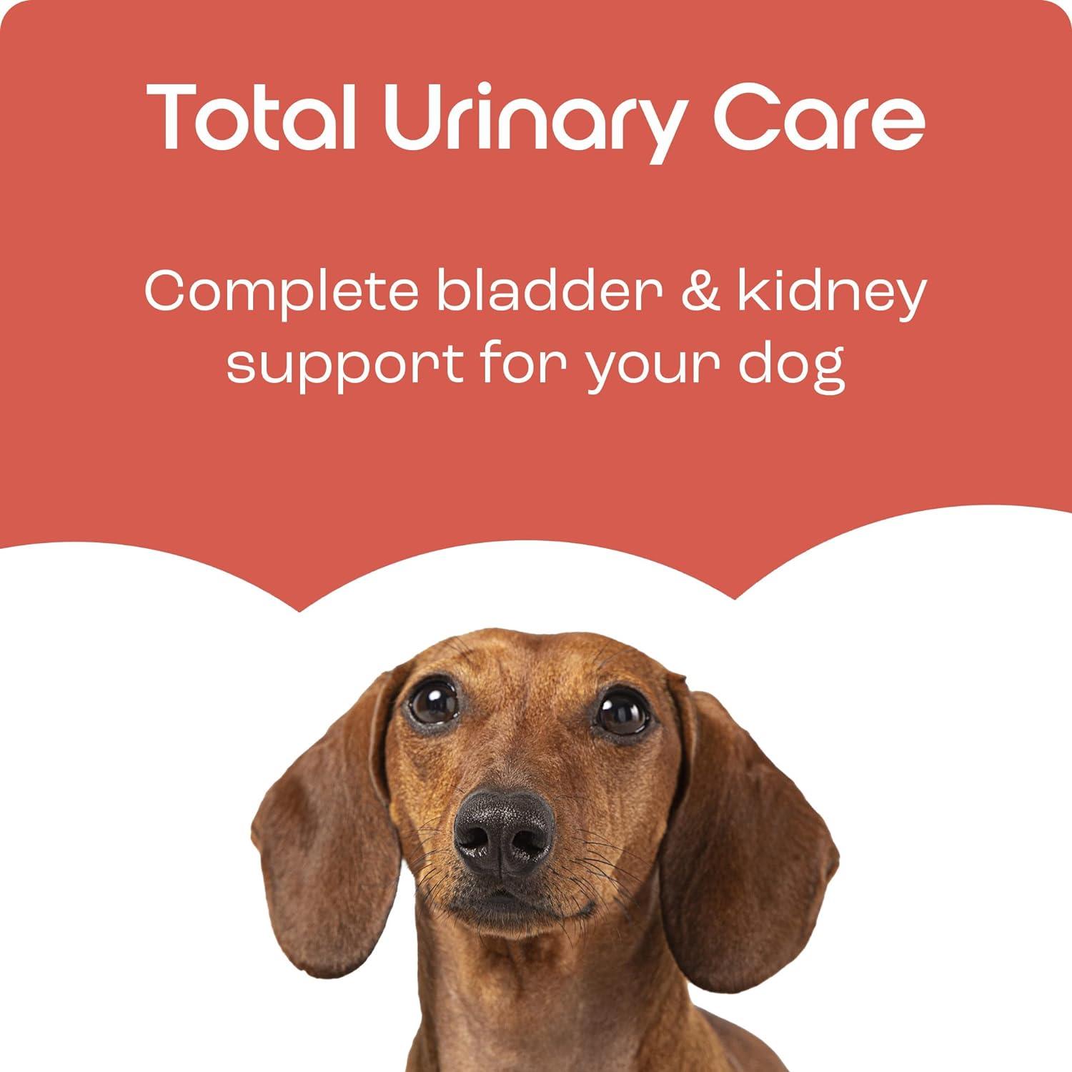Total Urinary Care Tablets for Dogs | Natural UTI & Cystitis Relief ...