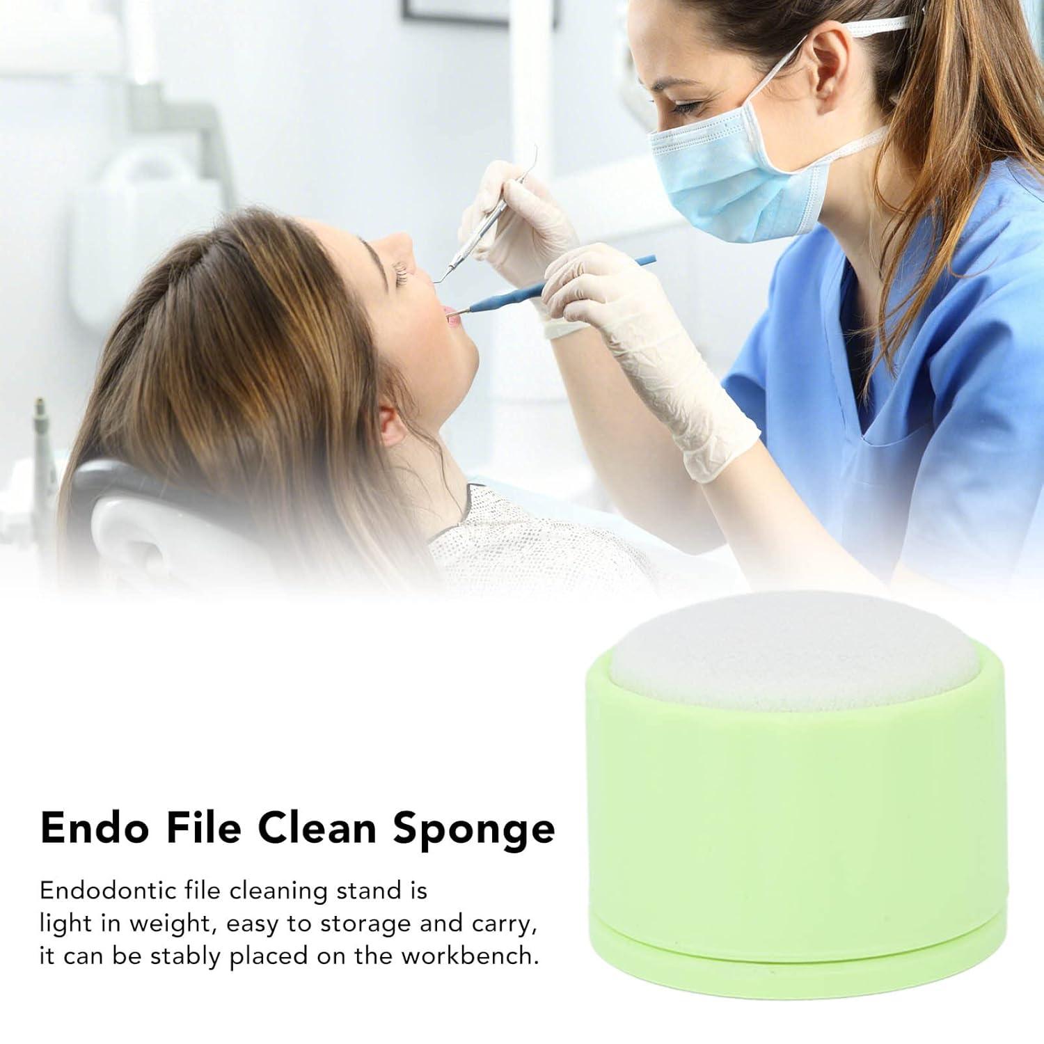 Endo Files Clean Stand | Heat Resistant Endodontic File Holder | Green ...