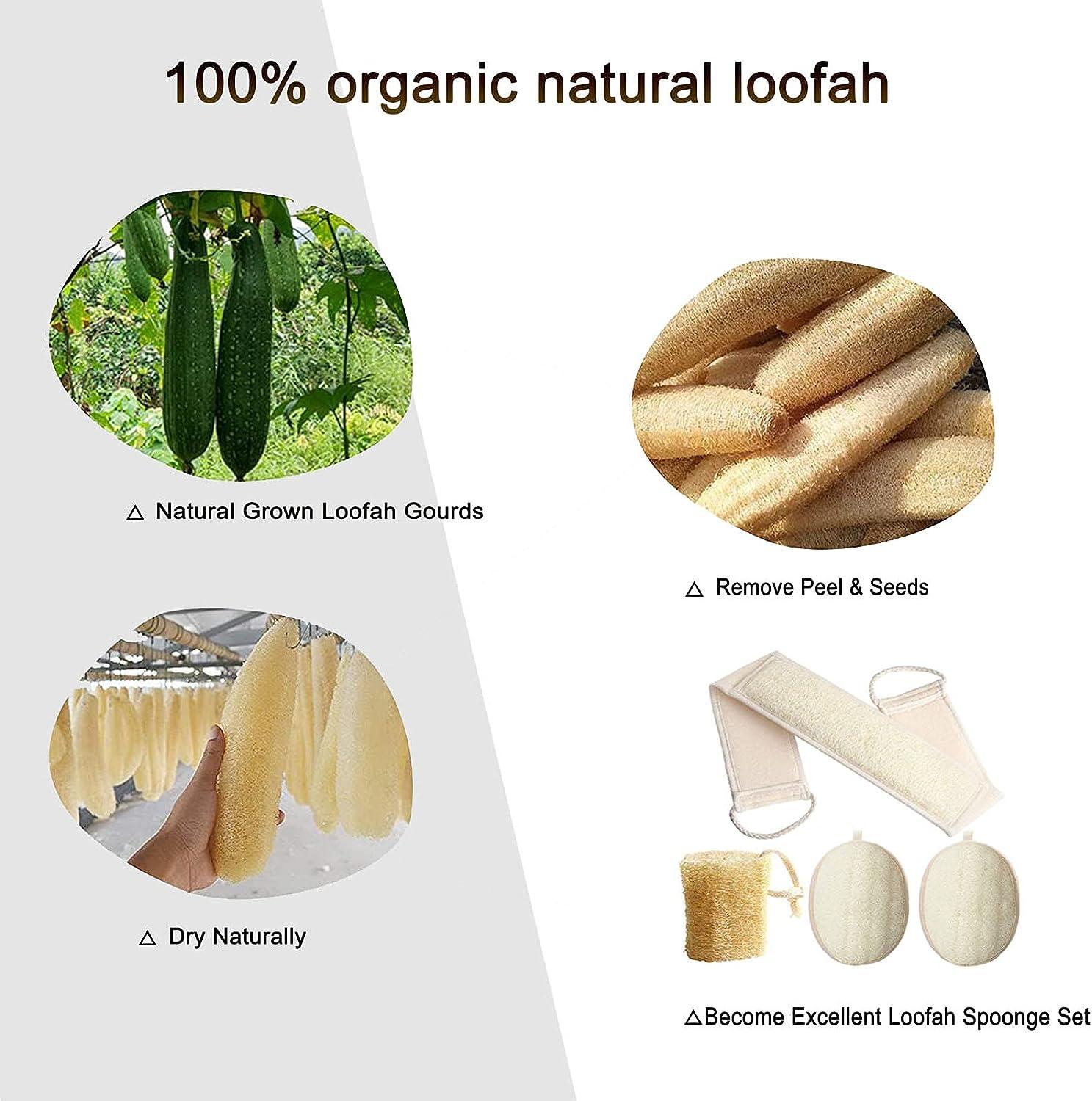 4 in 1 Exfoliating Natural Loofah Back Scrubber Set Luffa Sponge(Short ...