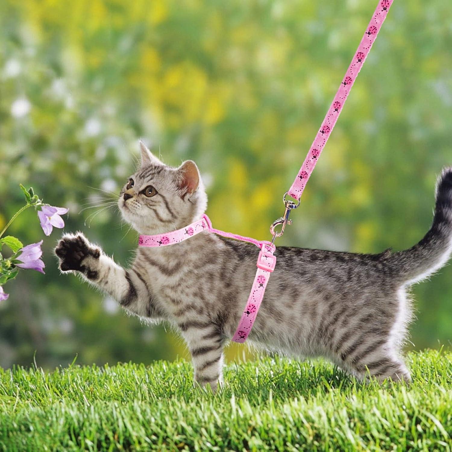 Adjustable Nylon Cat Leash Set - 2 Pieces with Lady Beetle Print & Soft ...