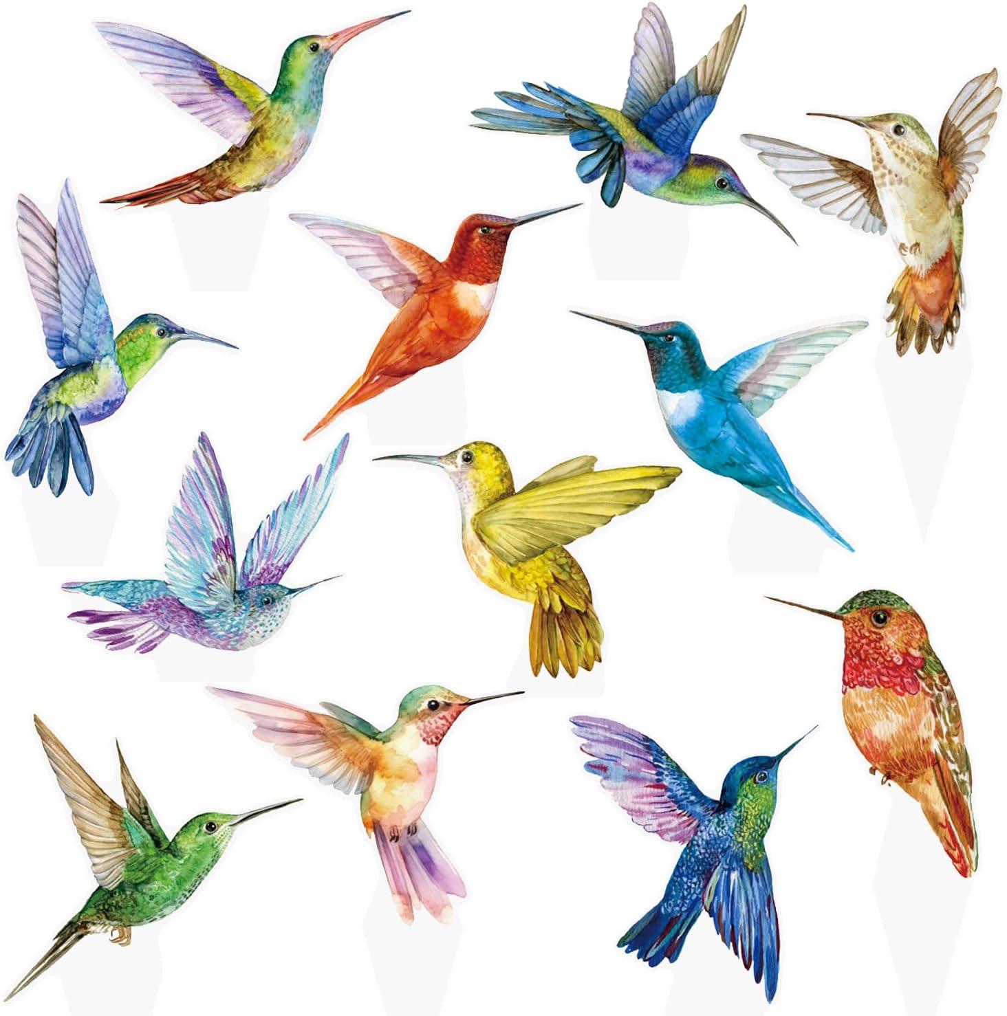 48Pcs Hummingbird Cupcake Toppers Hummingbird Birthday Decorations ...