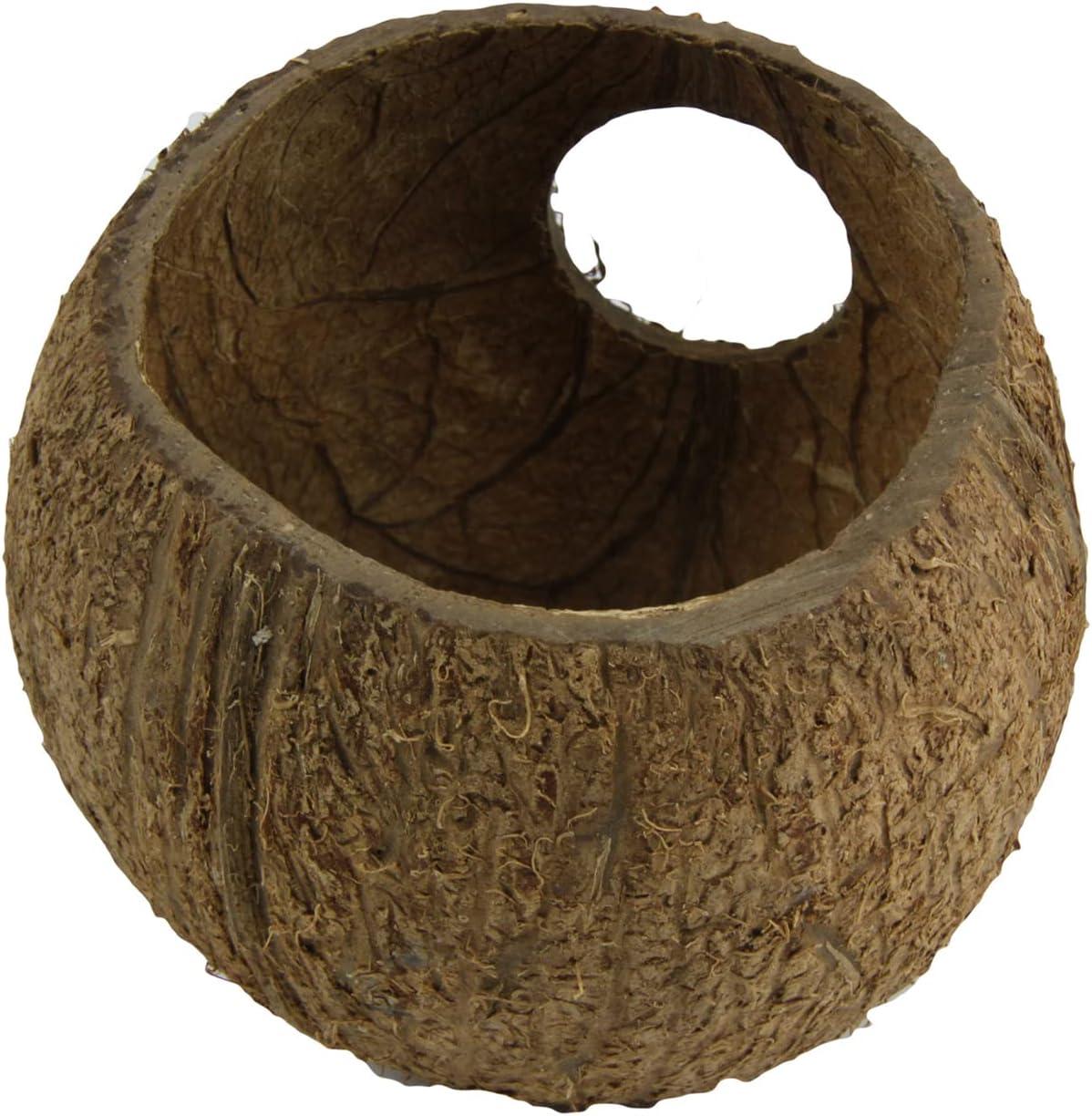 JBL 61512 Cocos Cava Coconut Shell Cave for Aquariums & Terrariums ...