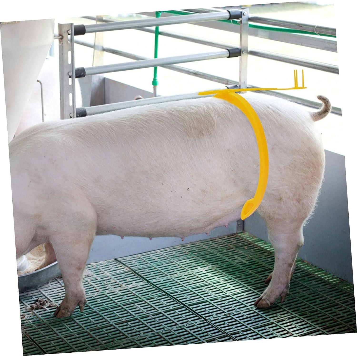 Pig Insemination Rods Stand | Sperm Feeding Holder | Artificial ...