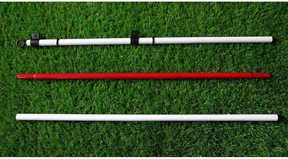 Boshen Golf Flagstick Practice Set for Backyard Putting Green - 1 Set/2 ...