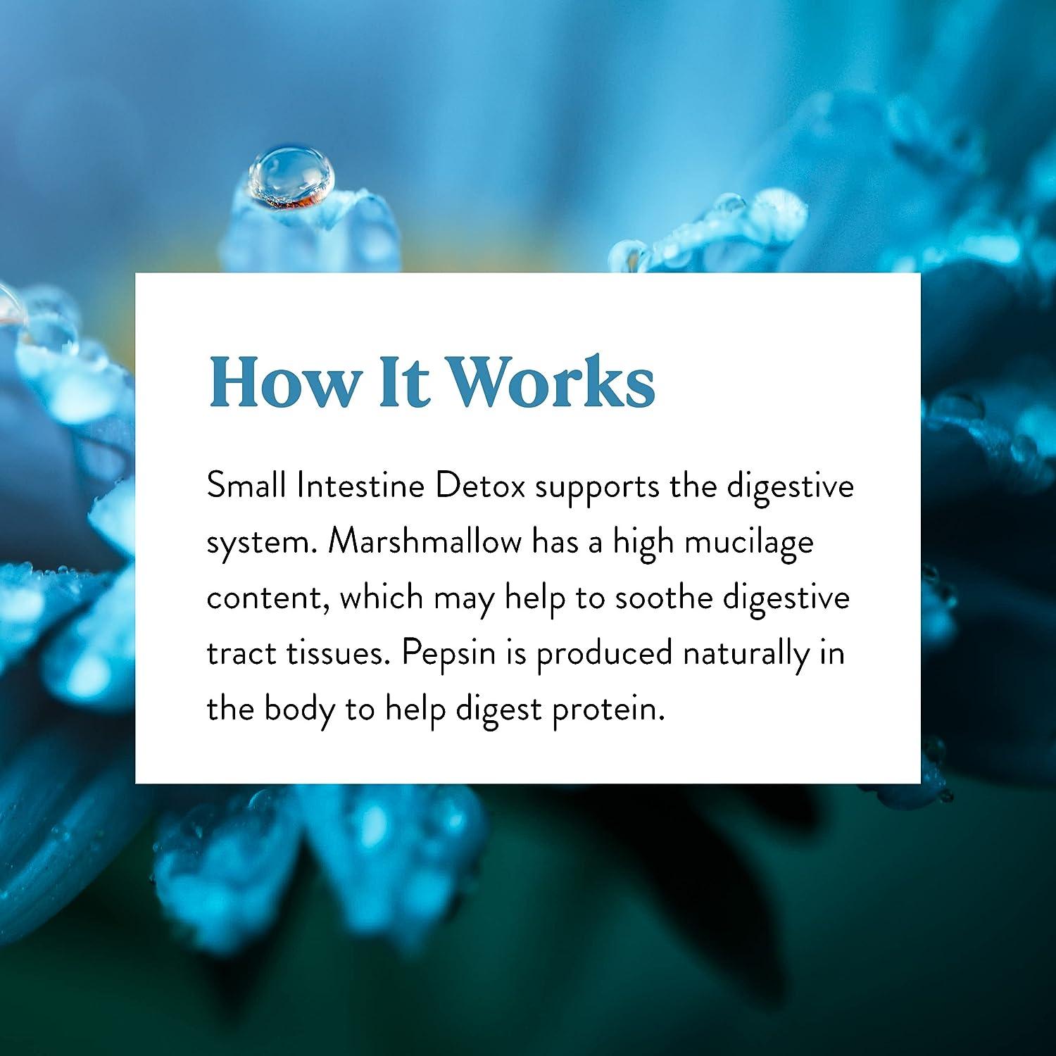 Nature's Sunshine Small Intestine Detox 100 Capsules - Soothing Natural ...