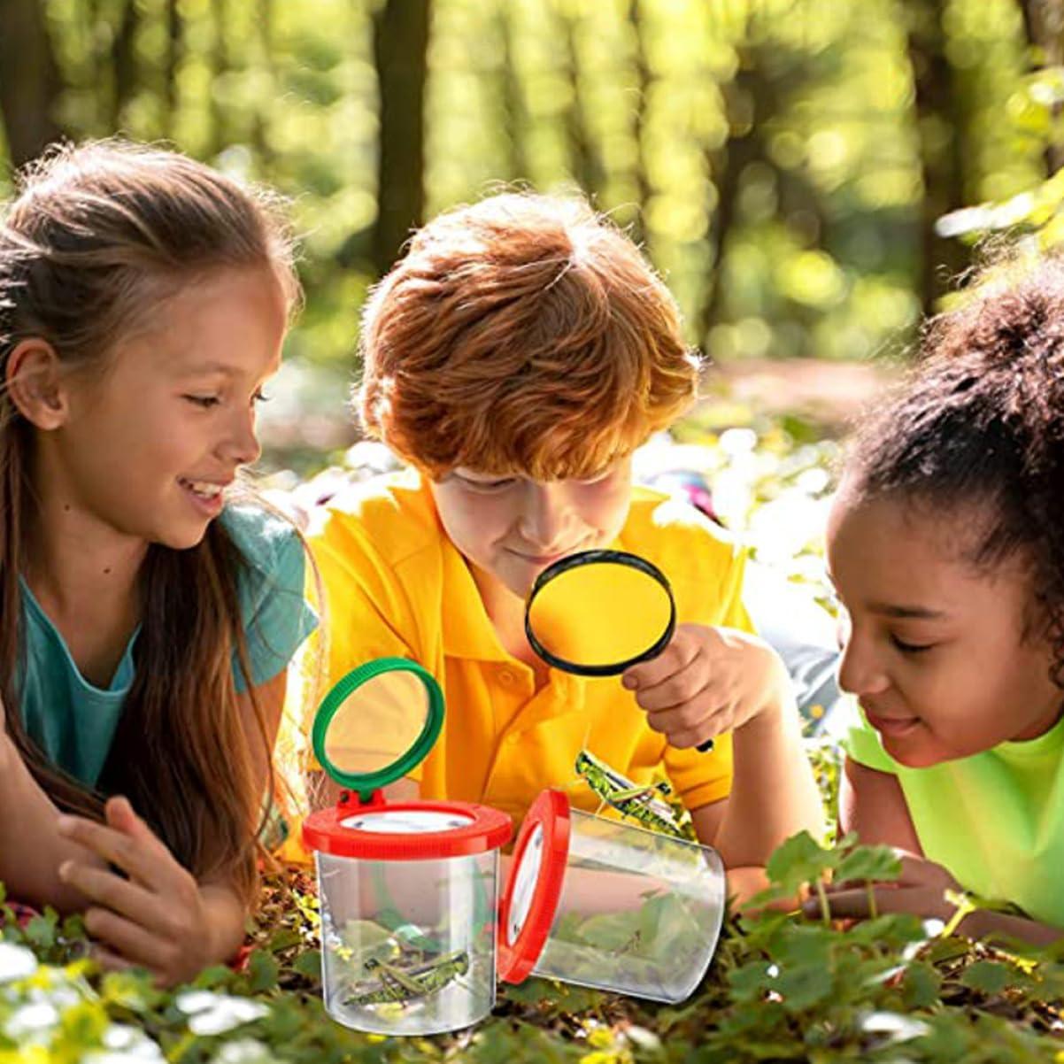 minkissy 4 Pcs Insect Observation Cup Magnifying Glasses for Kids ...