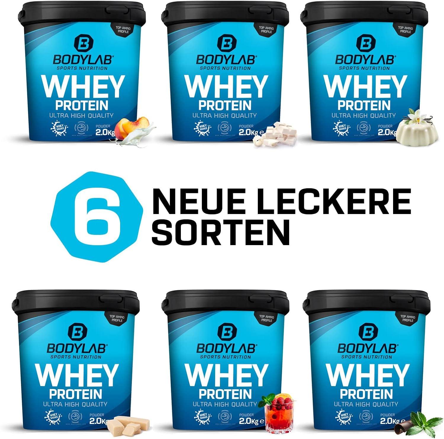 Bodylab24 Whey Protein Powder - Vanilla Pudding Flavor 1kg | Premium ...
