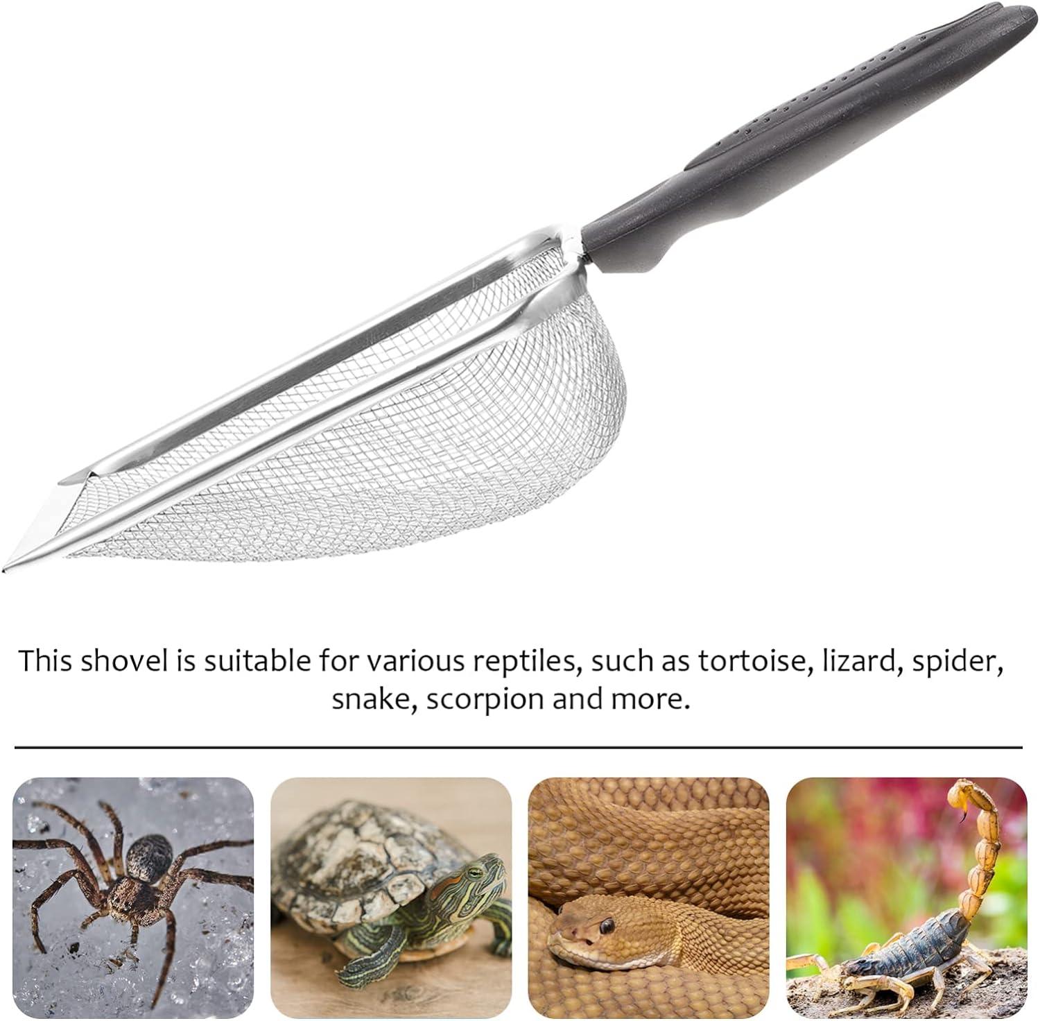 Balacoo Reptiles Sand Tortoise Lizard Litter Stainless Steel Cleaning ...