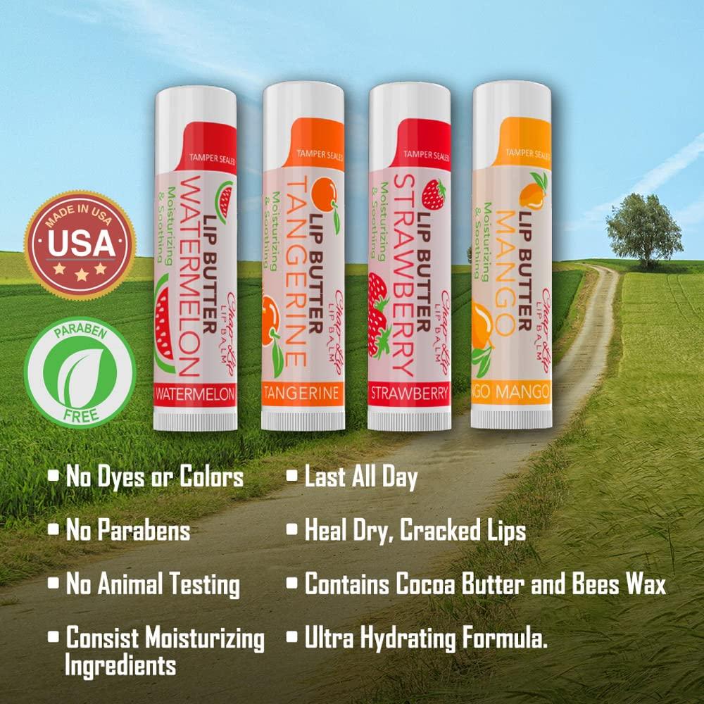 CHAP-LIP Lip Balm 48 Ct | Fruit Flavors, Cocoa Butter & Coconut Oil ...