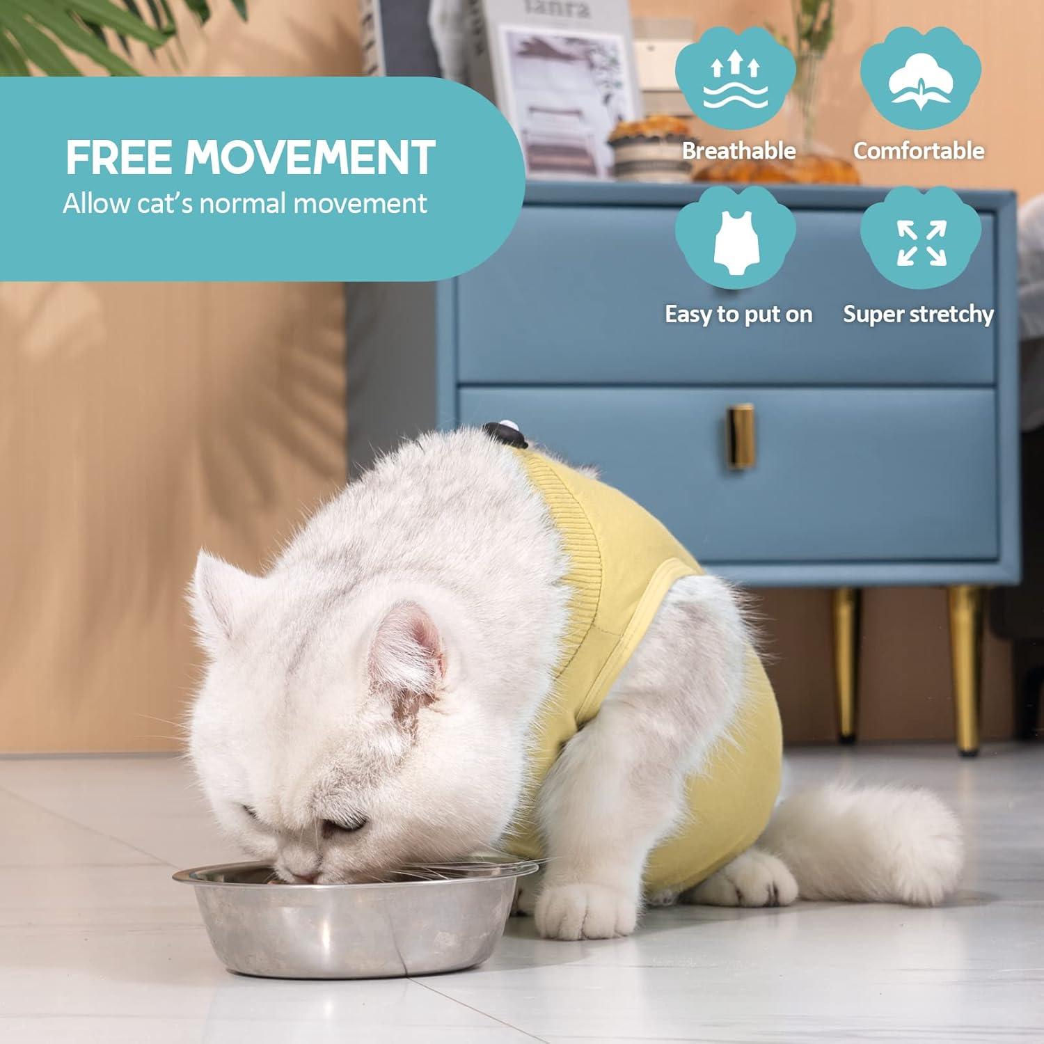 Avont Katzenbody Recovery Suit for Cats - Modal Post-Op Clothing for ...