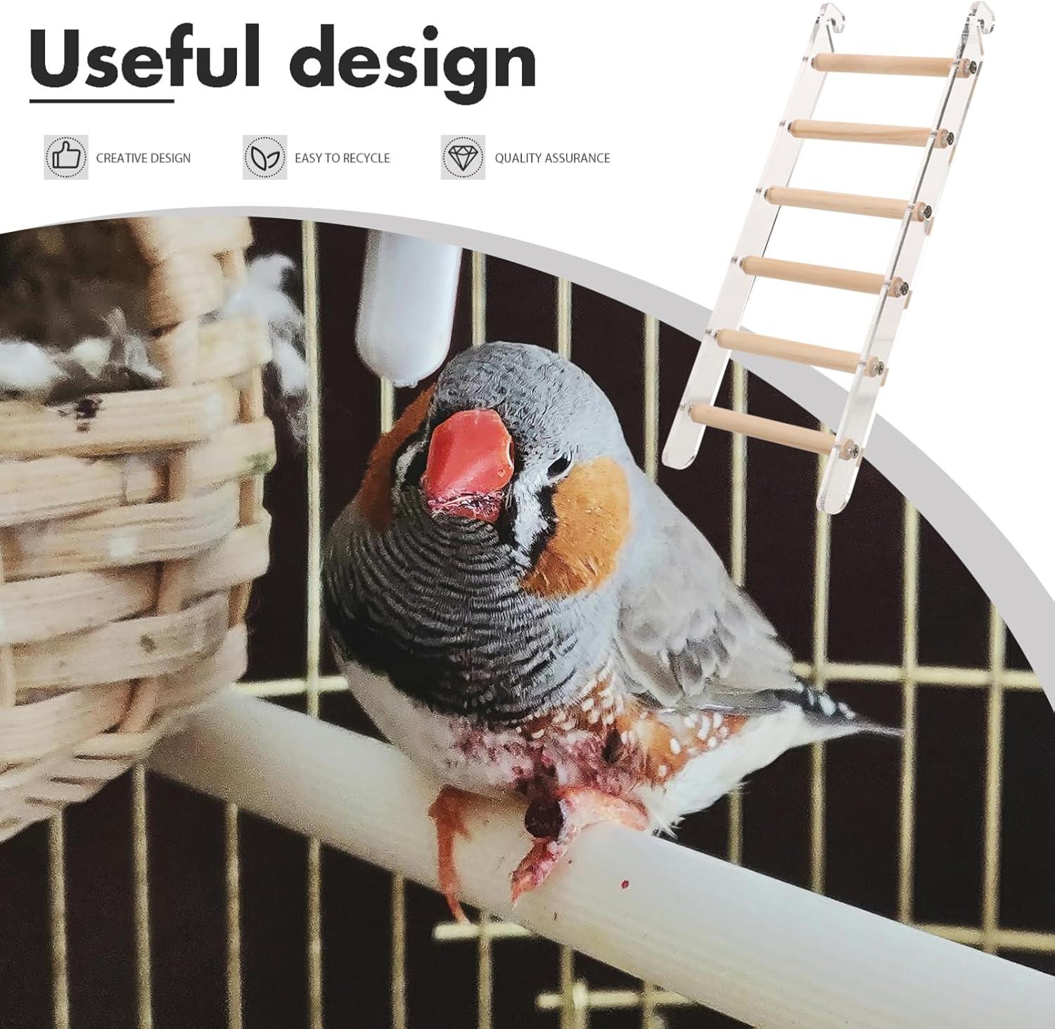 Vanzack Climbing Director for Parrots | Acrylic Vogel Ladder & Wooden ...