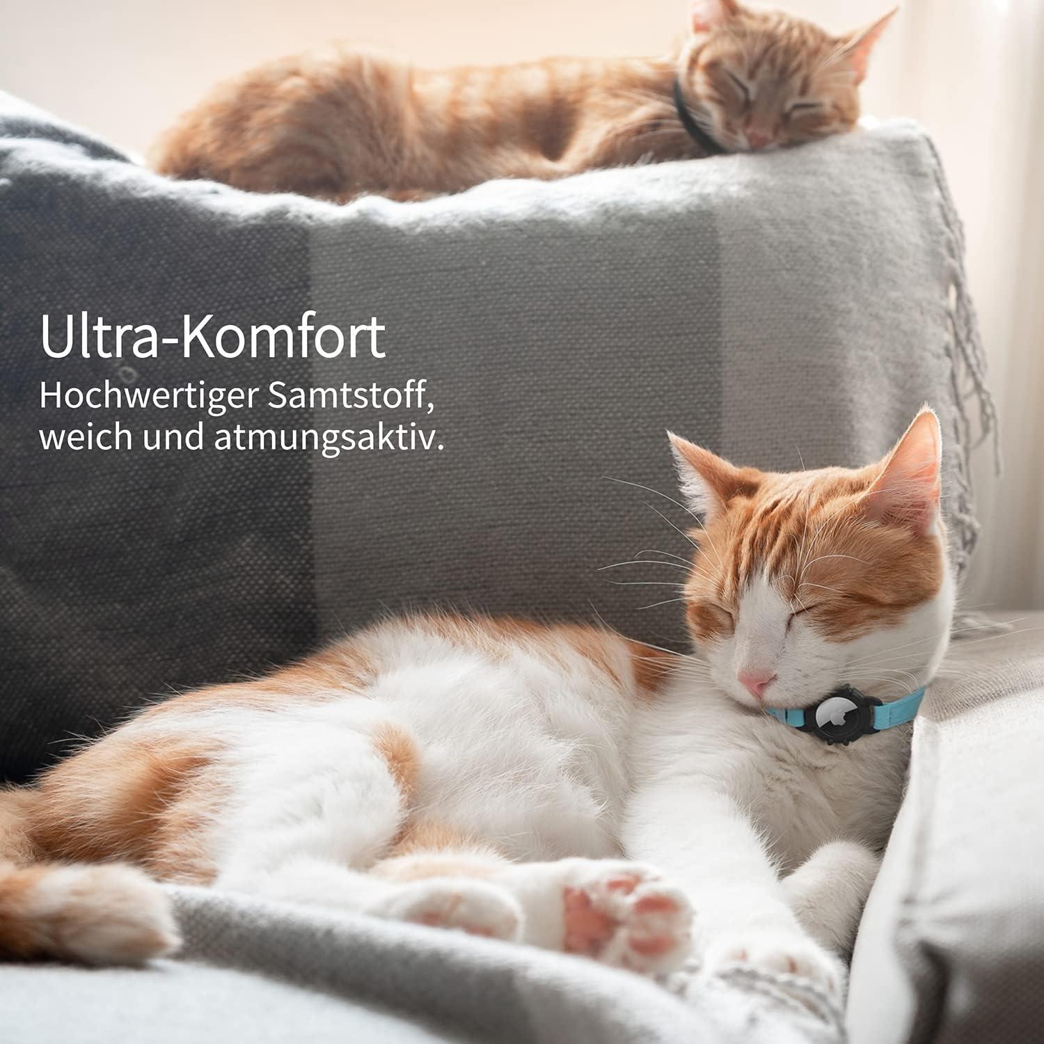 Buy Soft GPS Cat Collar with Apple AirTag Holder | Blue Cat Neck Band ...