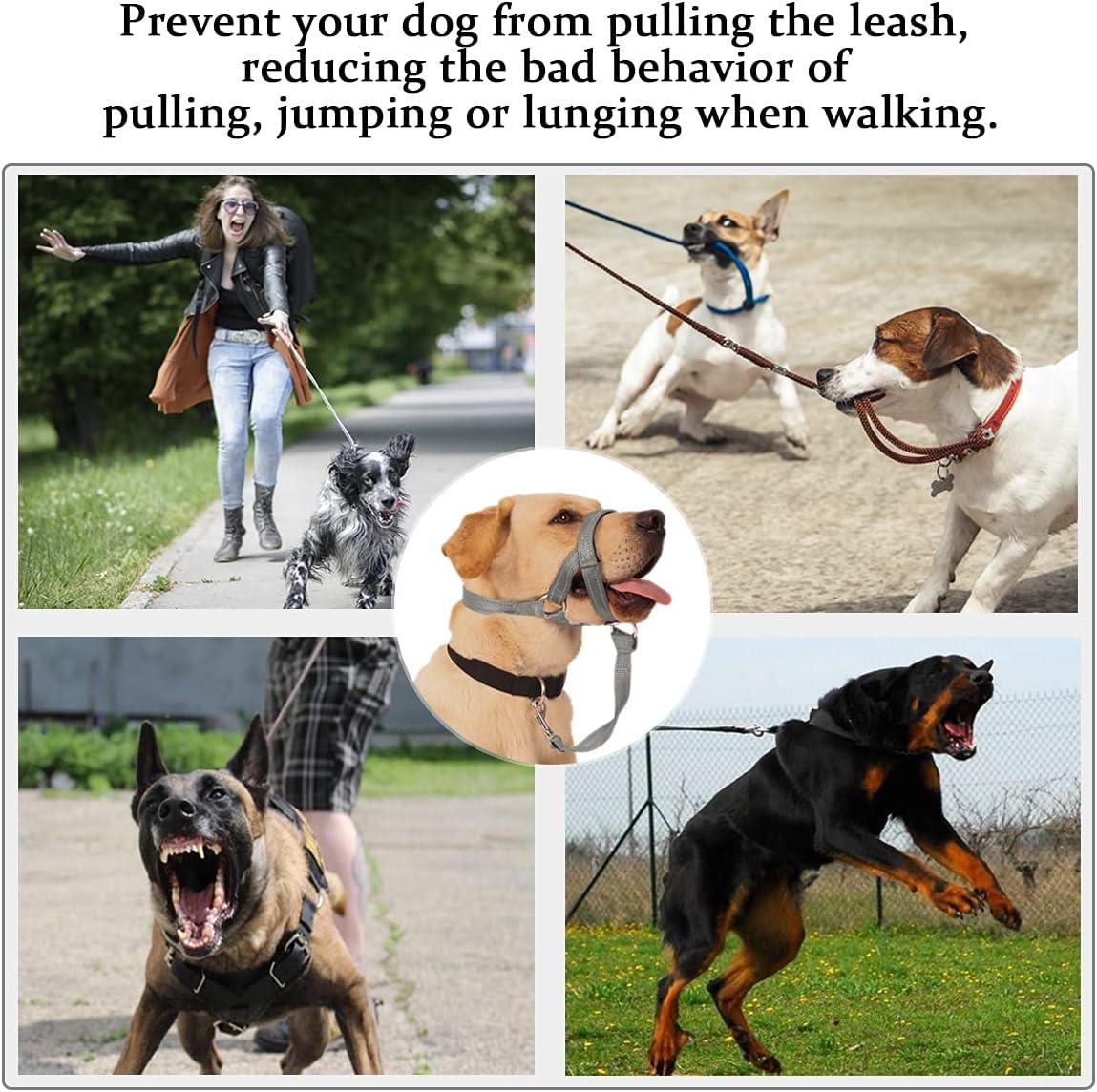 Premium Dog Handlebars for Medium & Large Dogs | Soft Upholstery ...