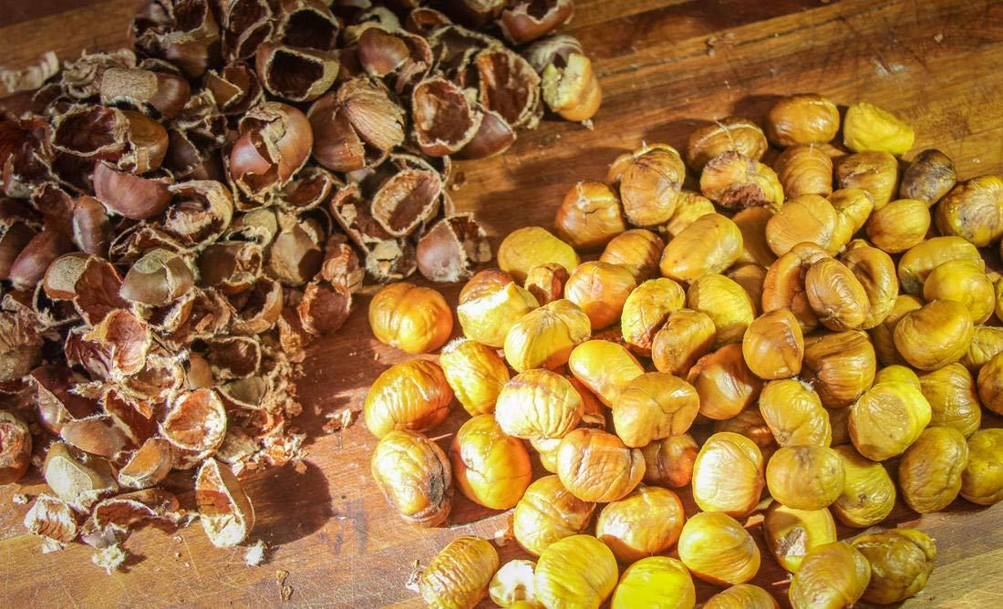 Organic Roasted Chestnuts - Shelled Ready to Eat Snack | Gluten Free ...