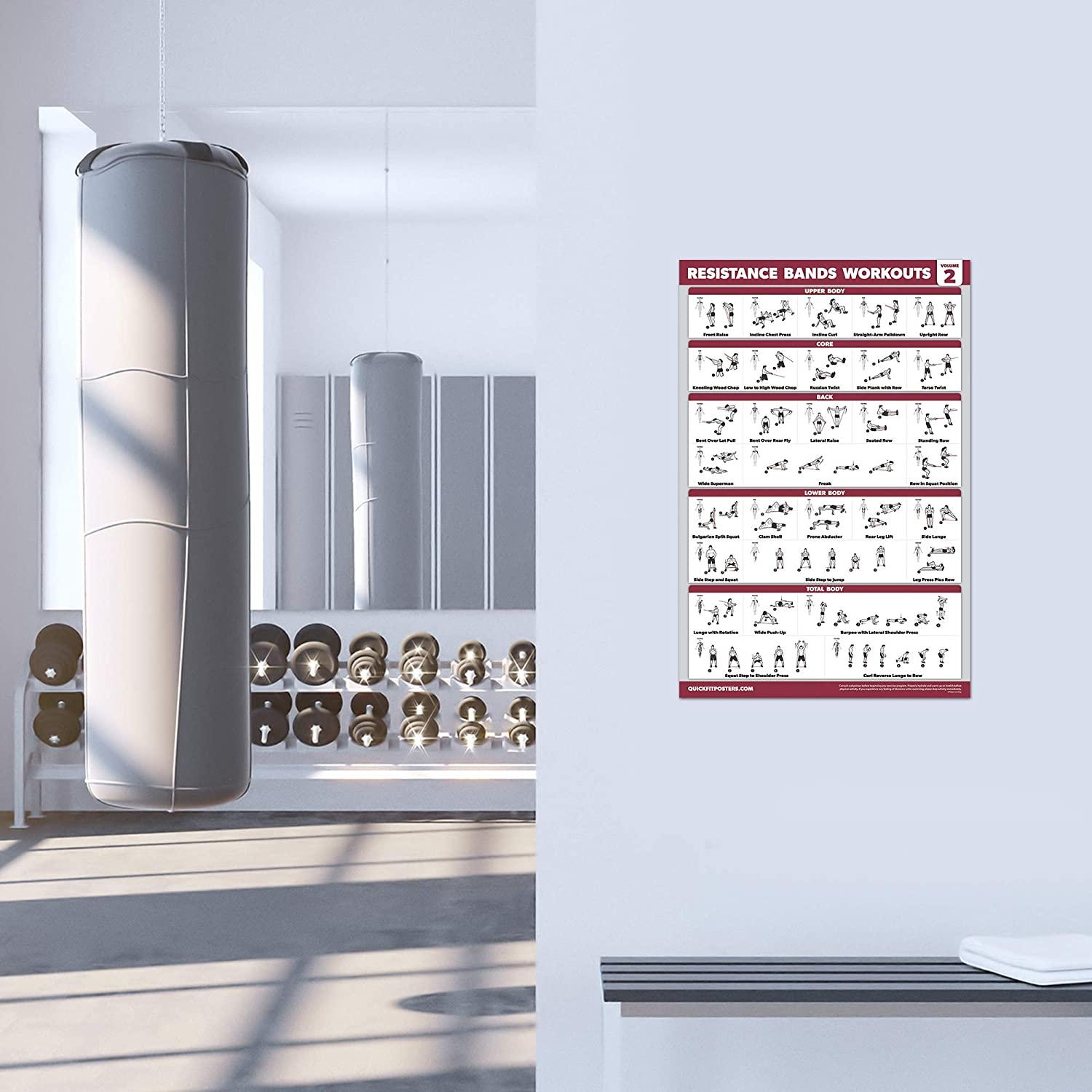 QuickFit 2 Pack Resistance Bands Exercise Poster Set - LAMINATED 18 x ...