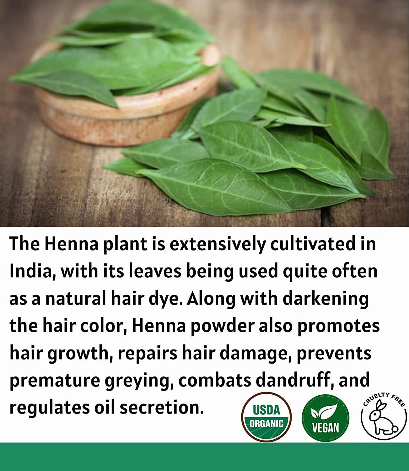 Lawsonia Inermis Powder