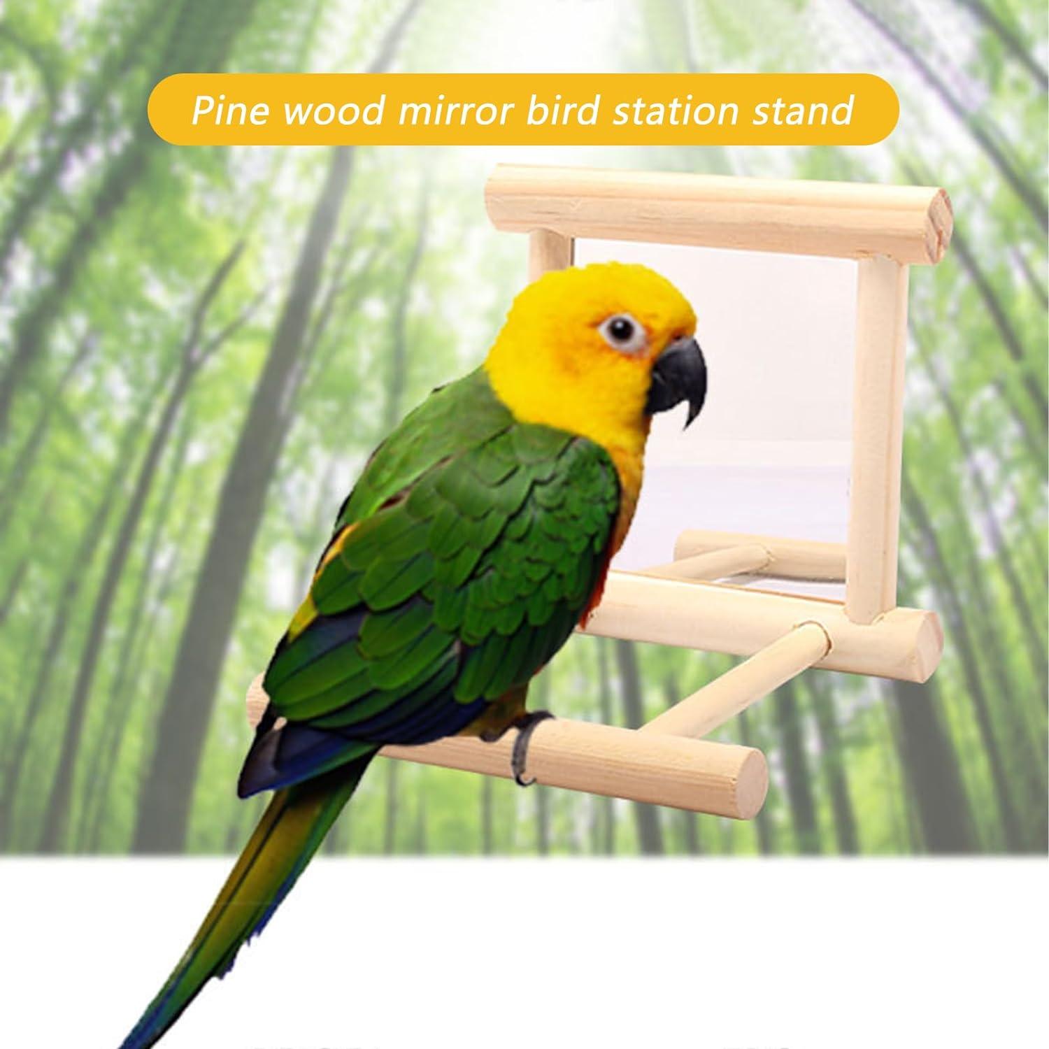 2Pcs Parrot Hanging Swing Mirror Fun Wooden Parrot Mirror Hanging ...