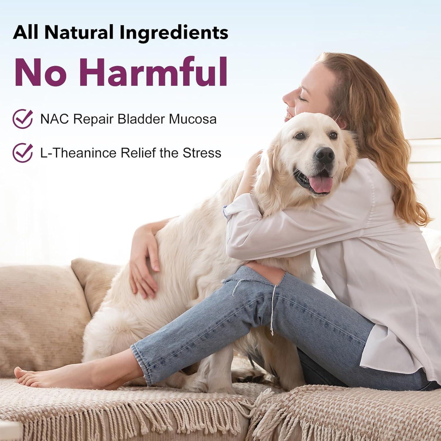 UT AID Plus for Cats & Dogs - Feline Idiopathic Cystitis & Urinary ...