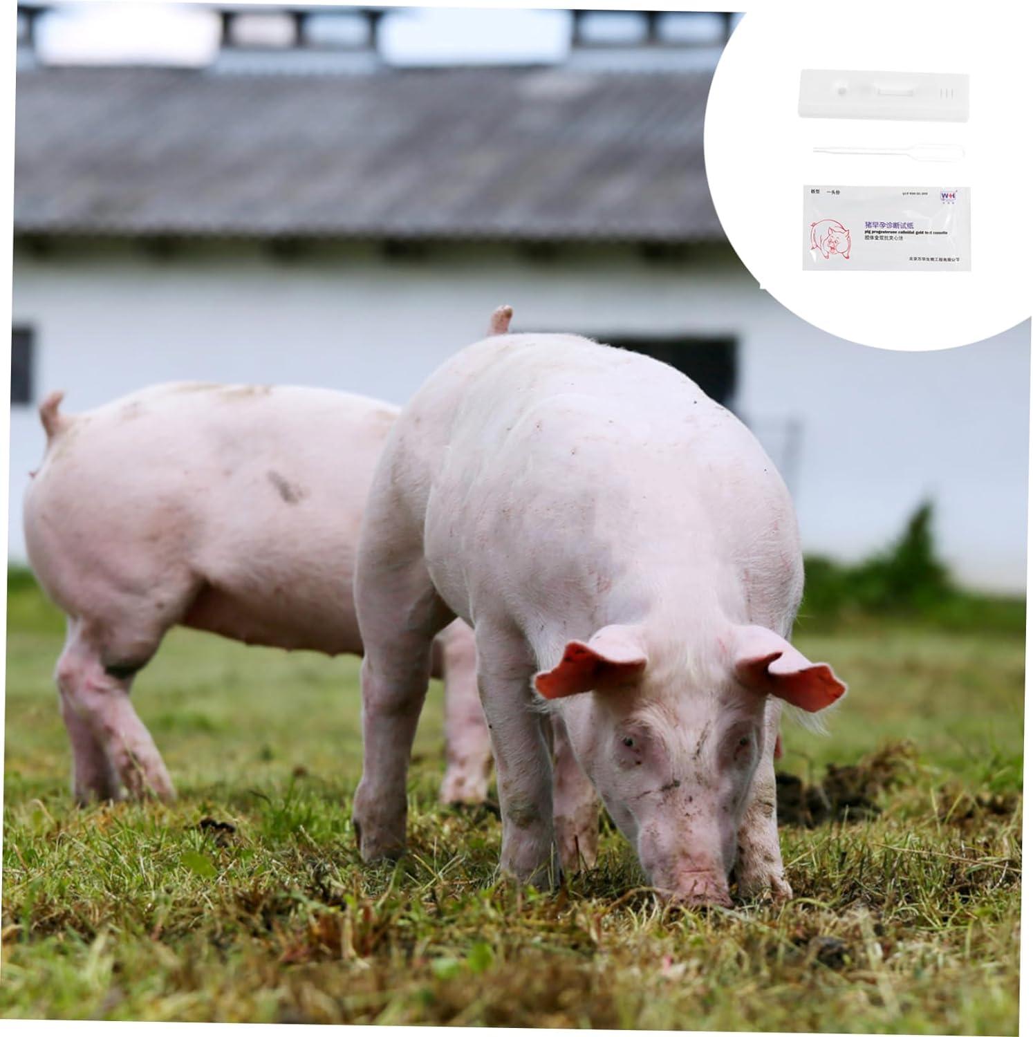 MAGICLULU 4 Pcs Pregnant Tester Pig Pregnancy Test Strips Sow Pregnancy ...