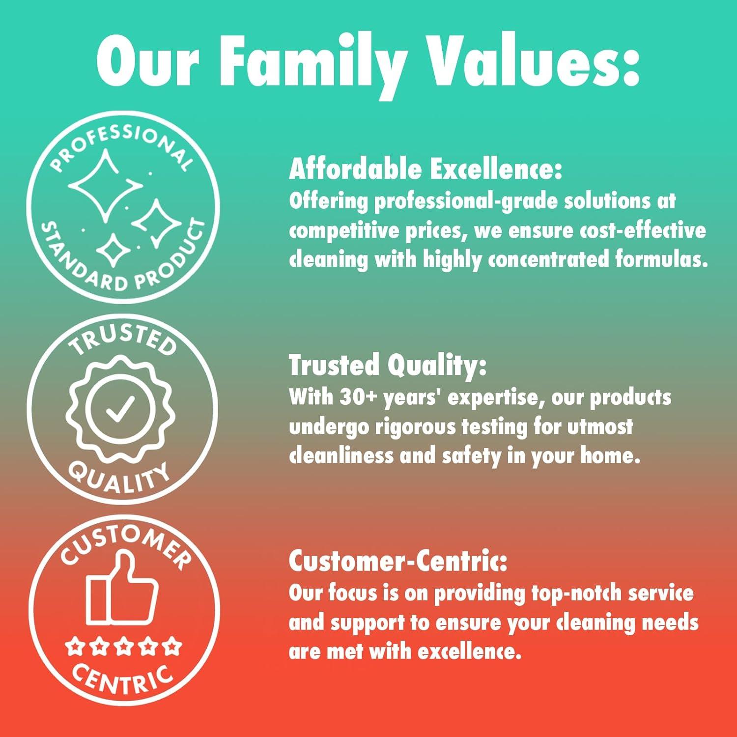 Dirtbusters Toilet Macerator Cleaner & Descaler Deep Cleaning With ...