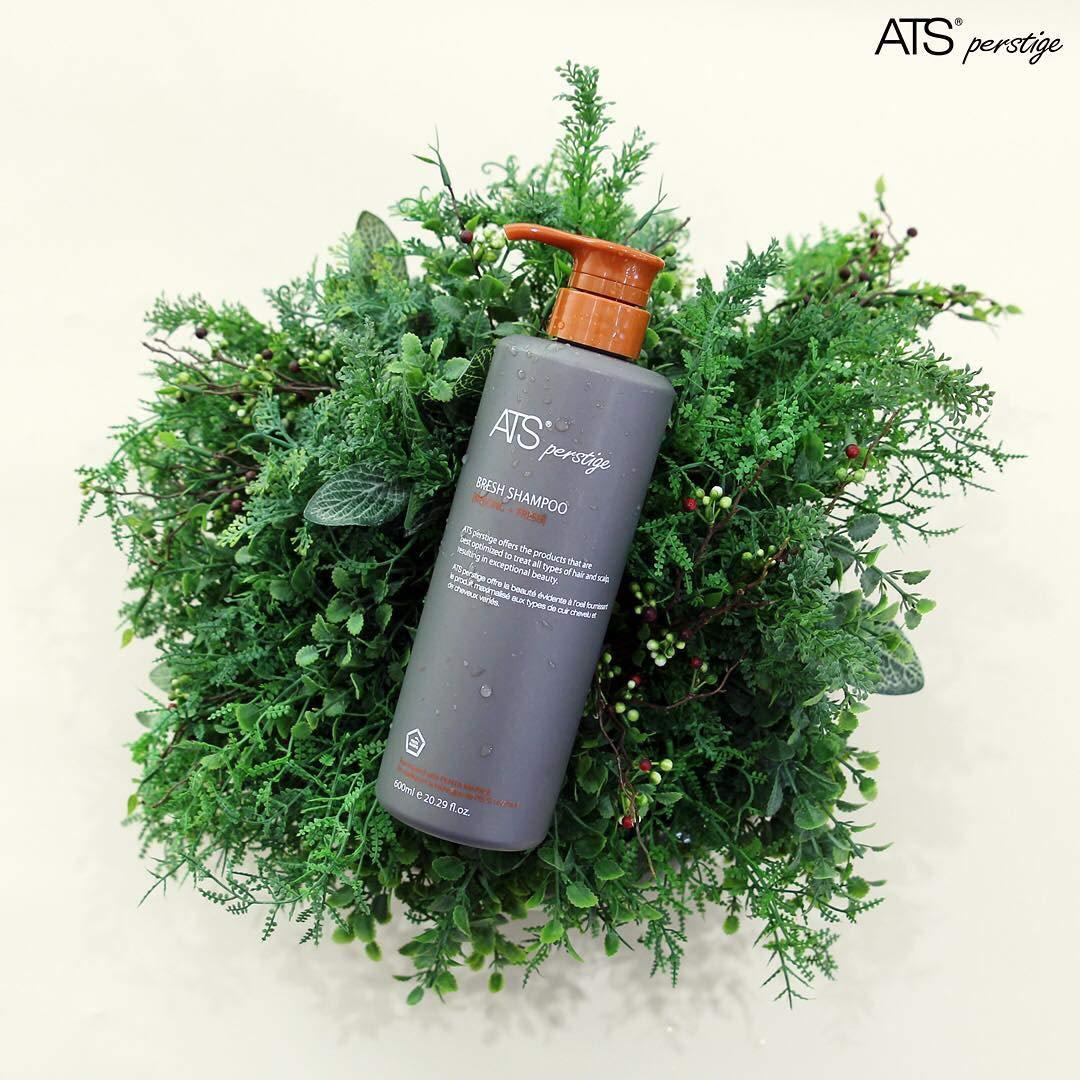 ATS Perstige Bresh Shampoo 600ML | Oily Scalp Care | Silicone Free ...