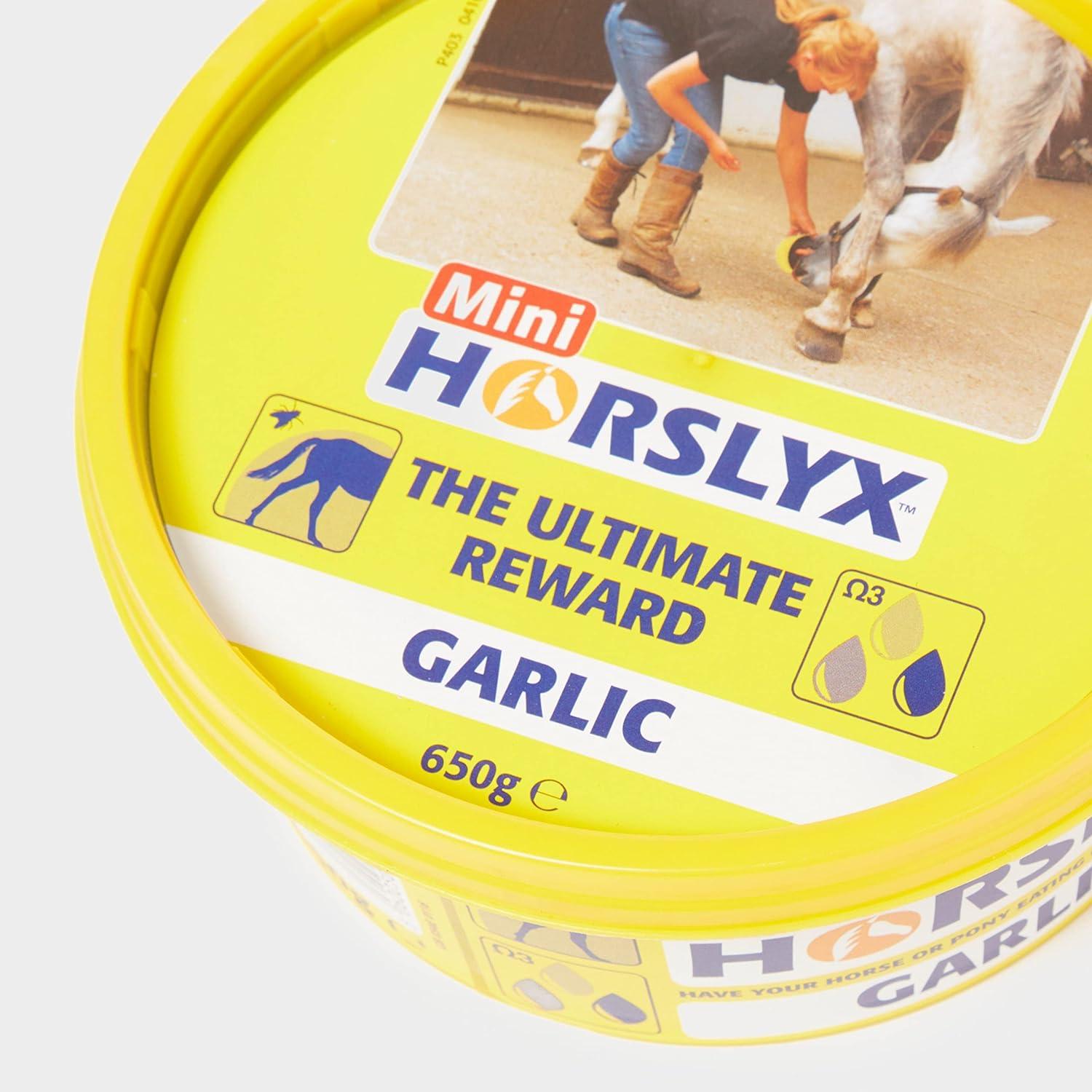 Horslyx Minis Horse Licks 650g | Buy Now with Express International ...