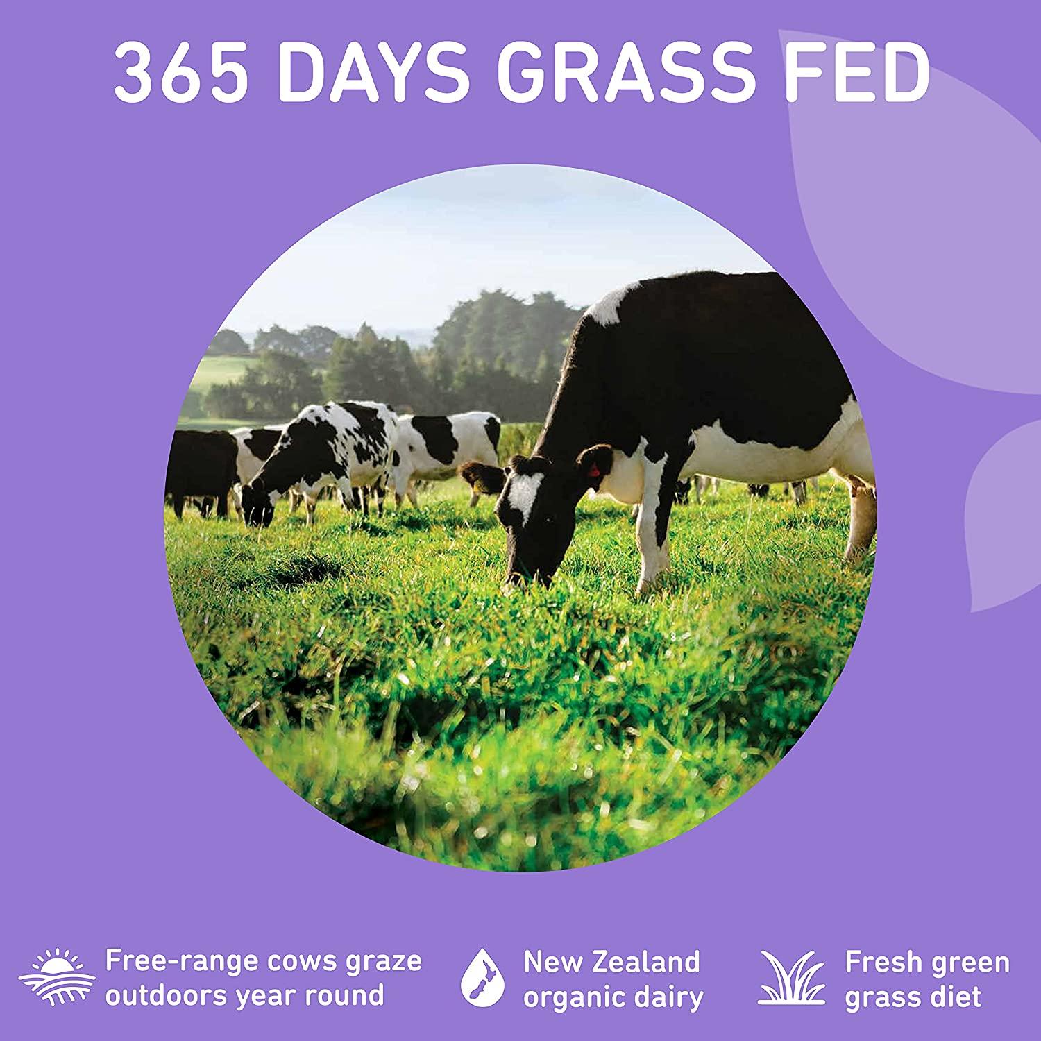 Aussie Bubs Grass Fed Toddler Formula Powder 28.2 oz - Nutritional Milk ...