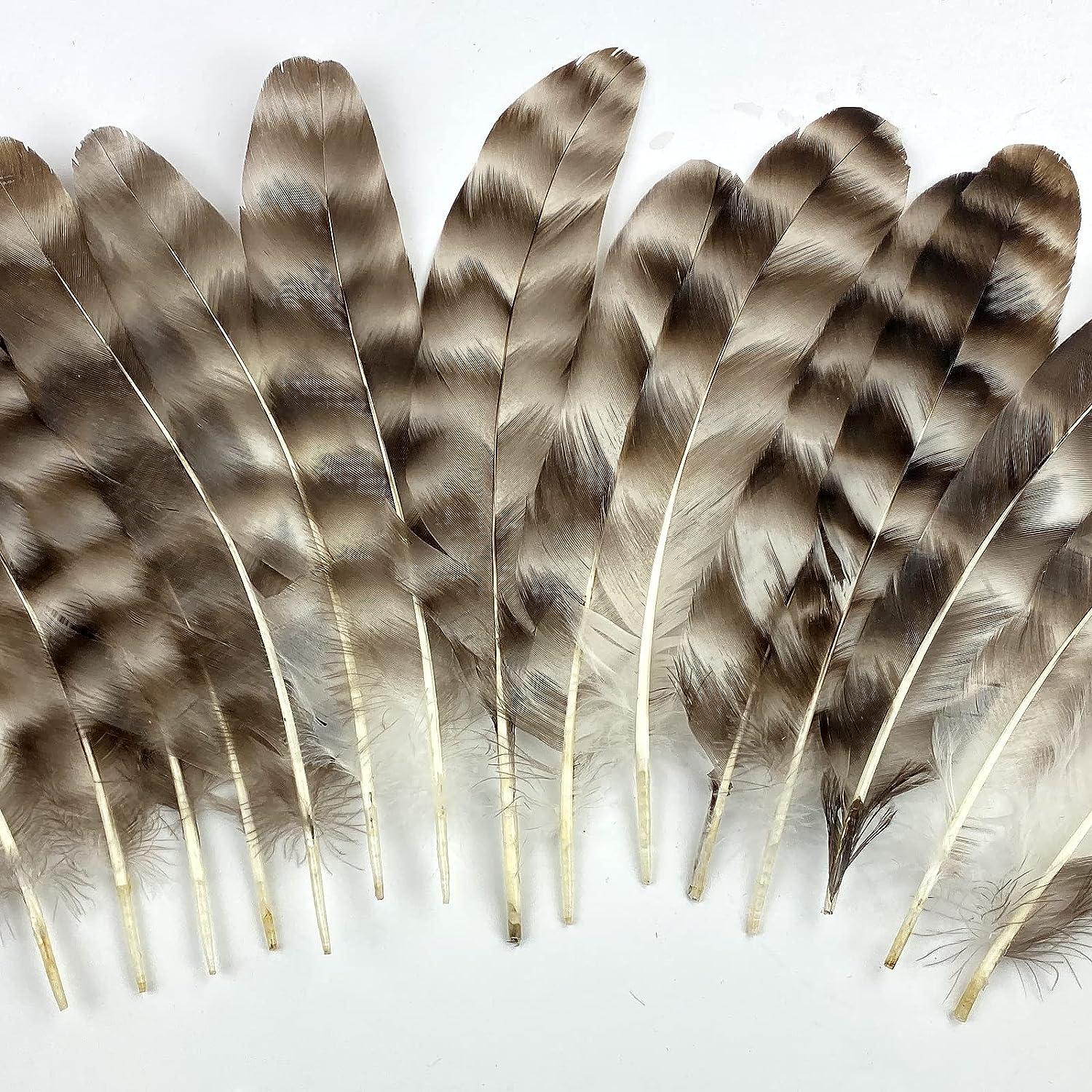 30 Pcs Natural Pheasant Feathers 15-22cm Assorted Wild Turkey Feather ...