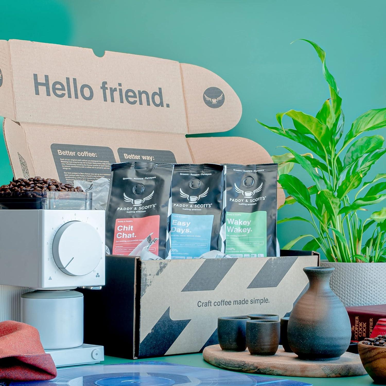 Bean Box Collection | Buy Now with Express International Delivery ...