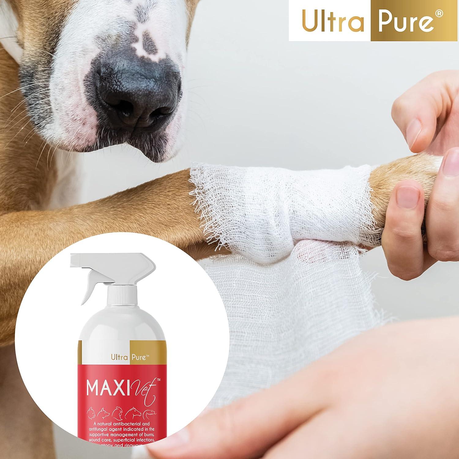 MaxiVet Wound Spray - Antibacterial and Antifungal Solution with Hypochlorous Acid - 200ml | Buy ...
