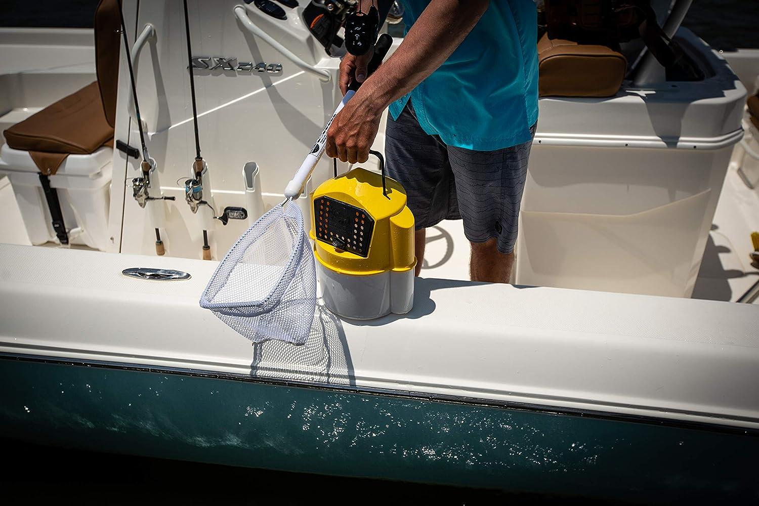 Frabill Flow-Troll Magnum Minnow Bucket 10-Quart White/Yellow - 451200 ...