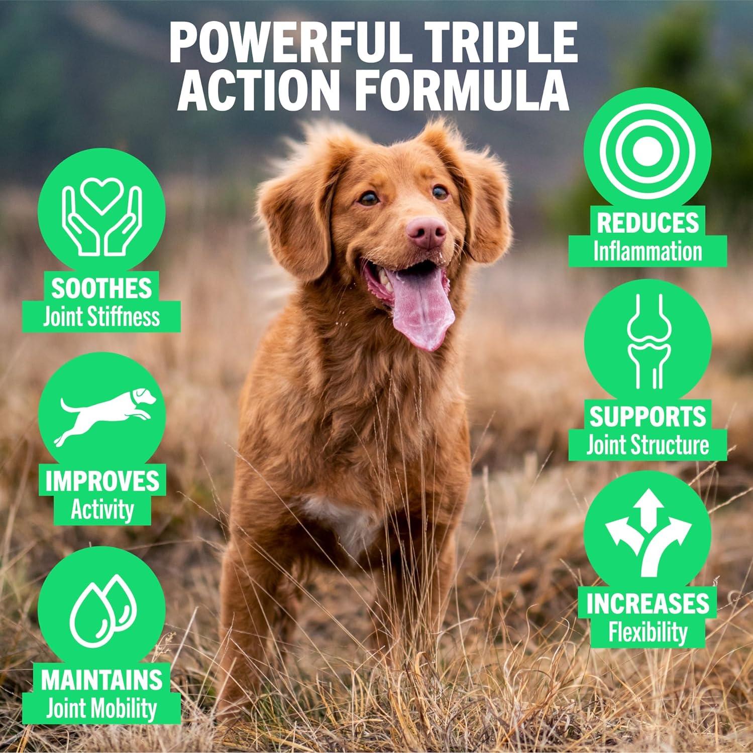 JOINTSURE YOUNG & ACTIVE Joint Supplements for Dogs and Puppies - Pack ...